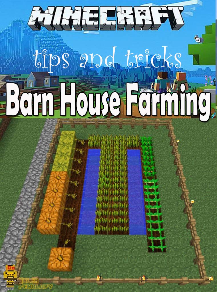 Farming in Minecraft tips and tricks Tutorial : Tips & Tricks and More ...