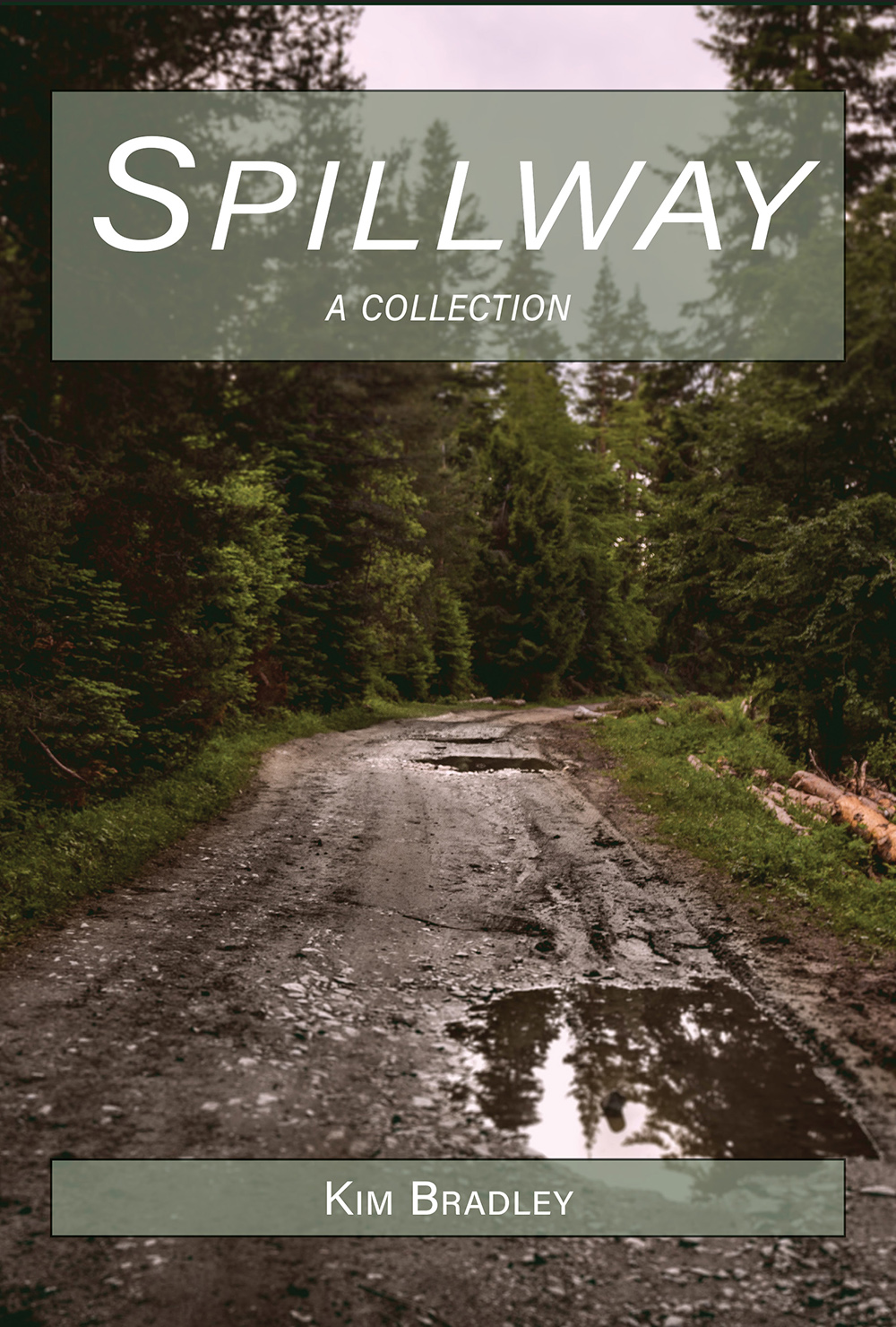 Spillway by Kim Bradley | Goodreads
