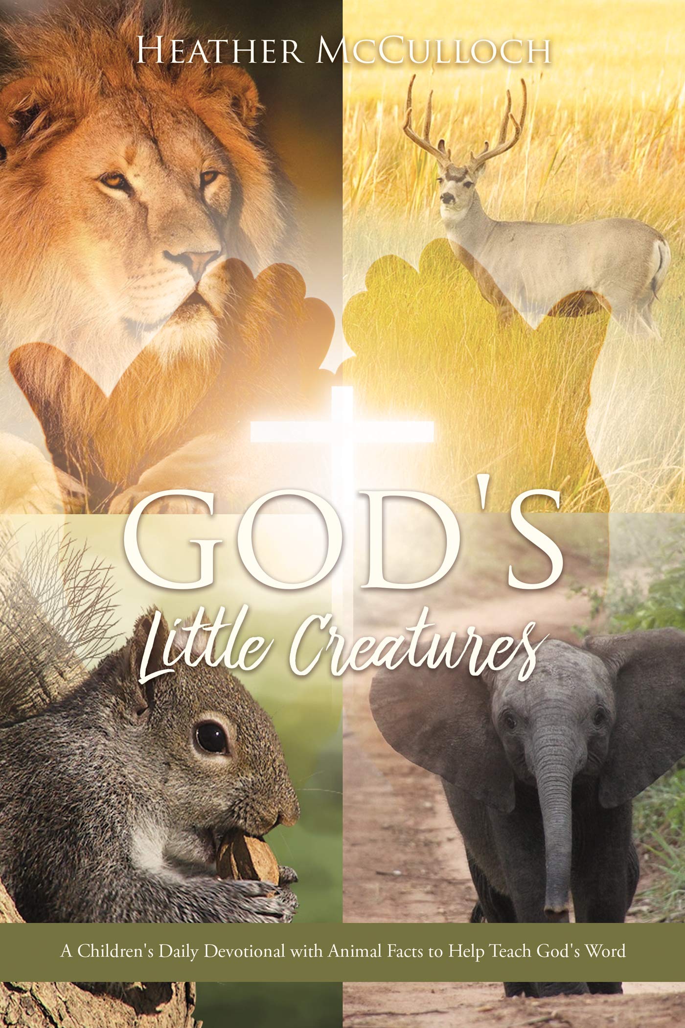 God's Little Creatures: A Children's Daily Devotional with Animal Facts ...