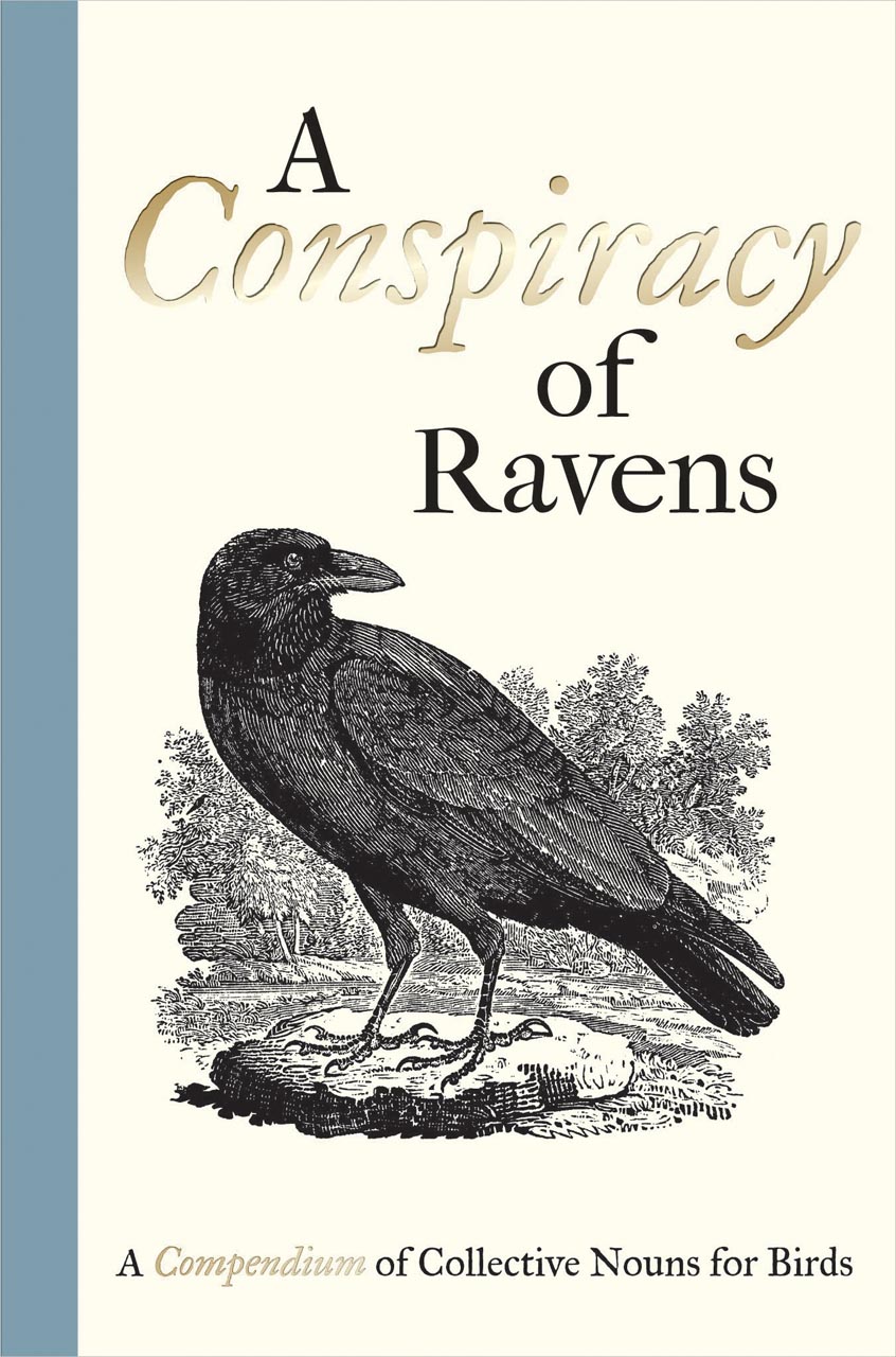 A Conspiracy of Ravens: A Compendium of Collective Nouns for Birds by ...