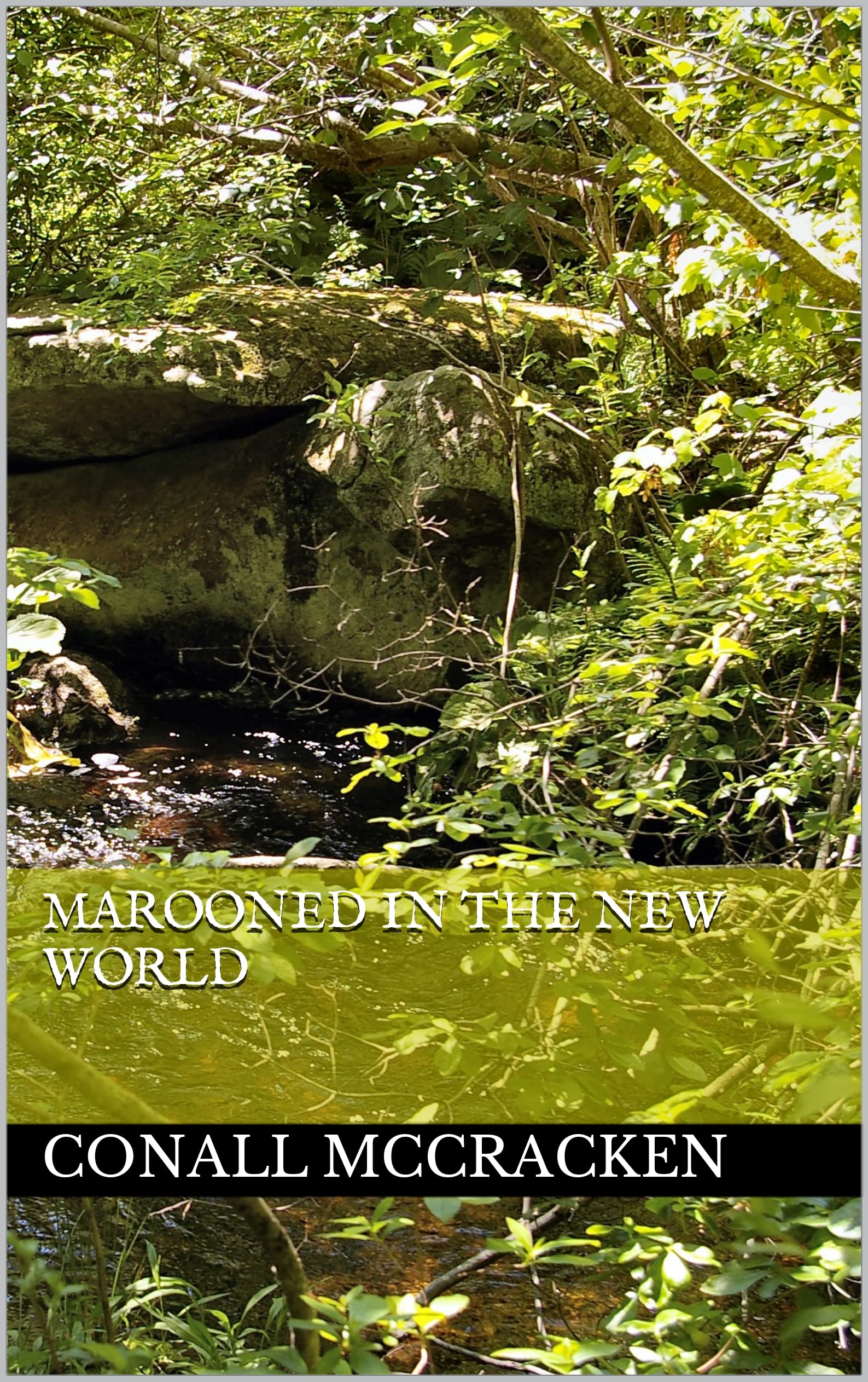Marooned In The New World by Conall McCracken | Goodreads