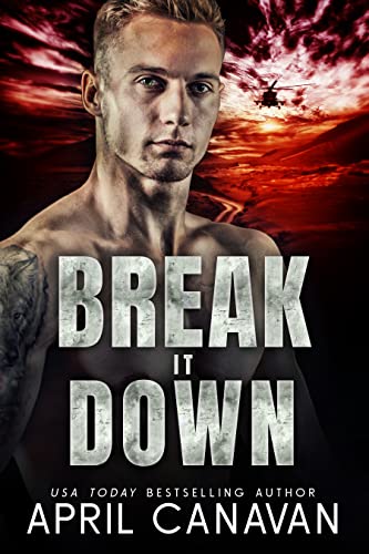 Break it Down (Birch County Heroes #4) by April Canavan | Goodreads