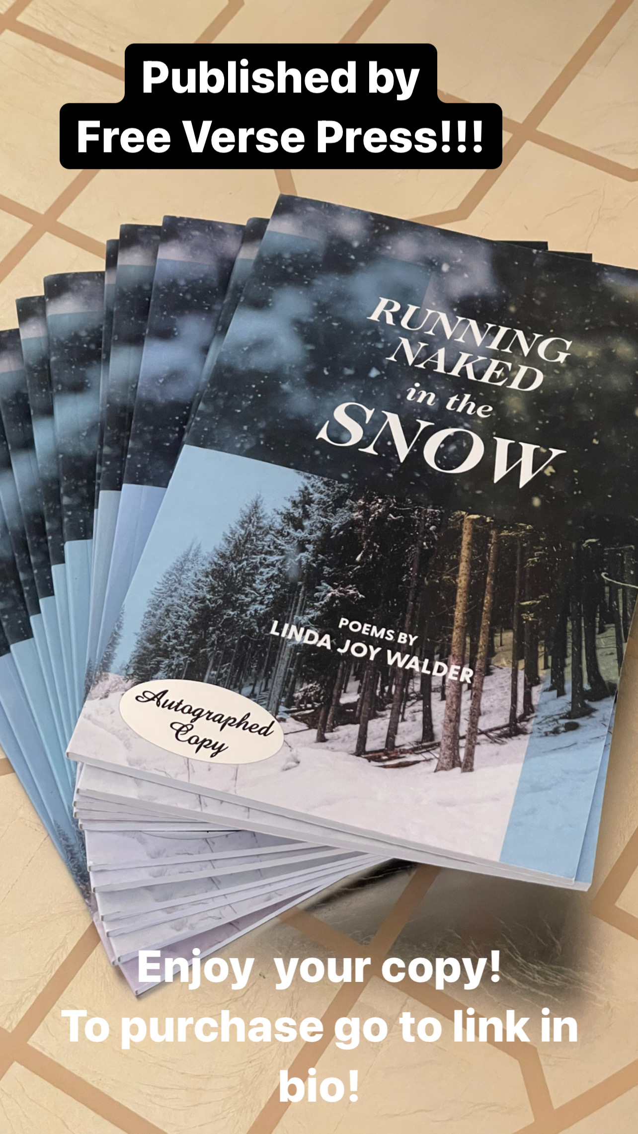 Running Naked in the Snow by Linda Joy Walder | Goodreads