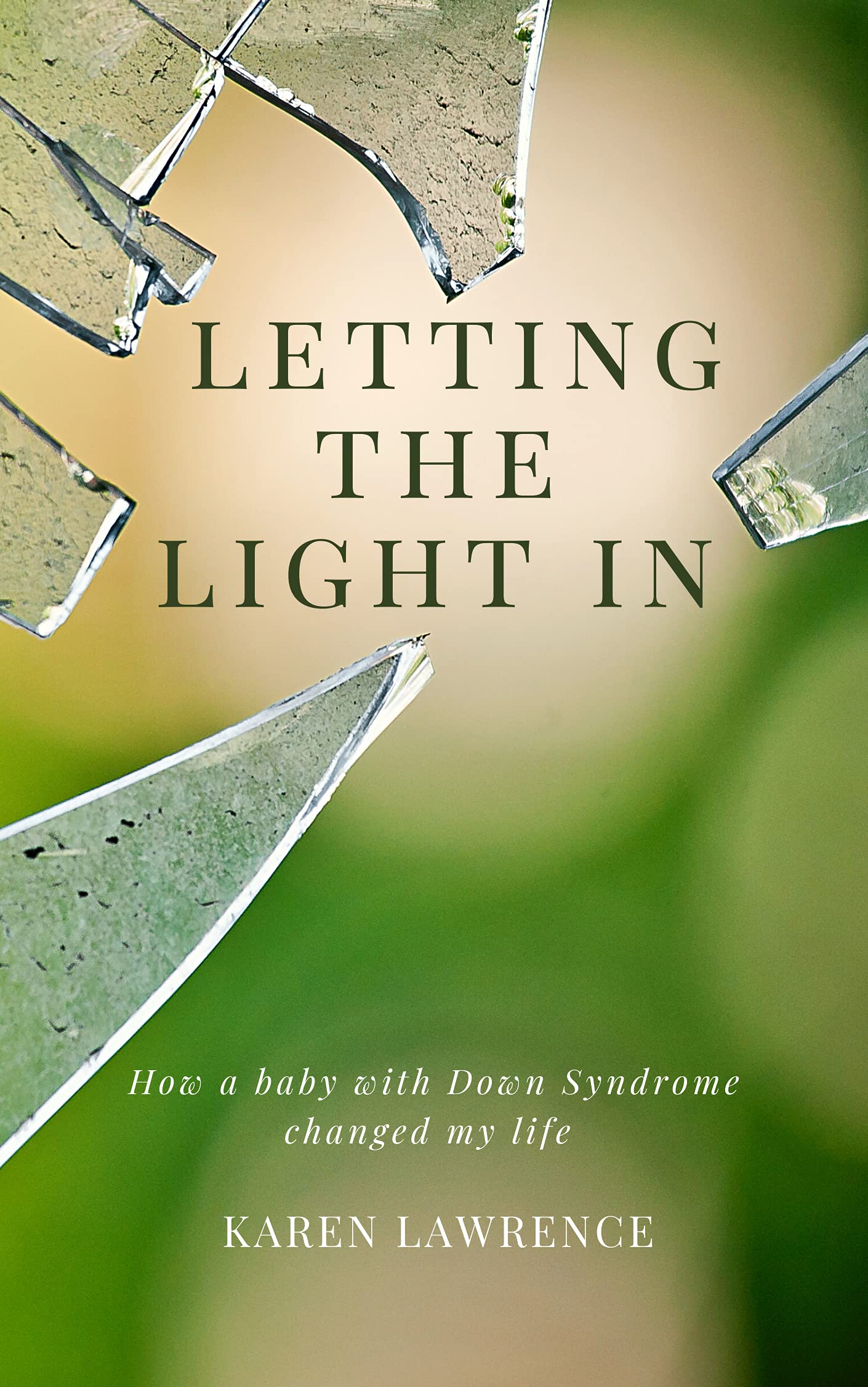 Letting the Light In: How a Baby with Down Syndrome Changed My Life by ...