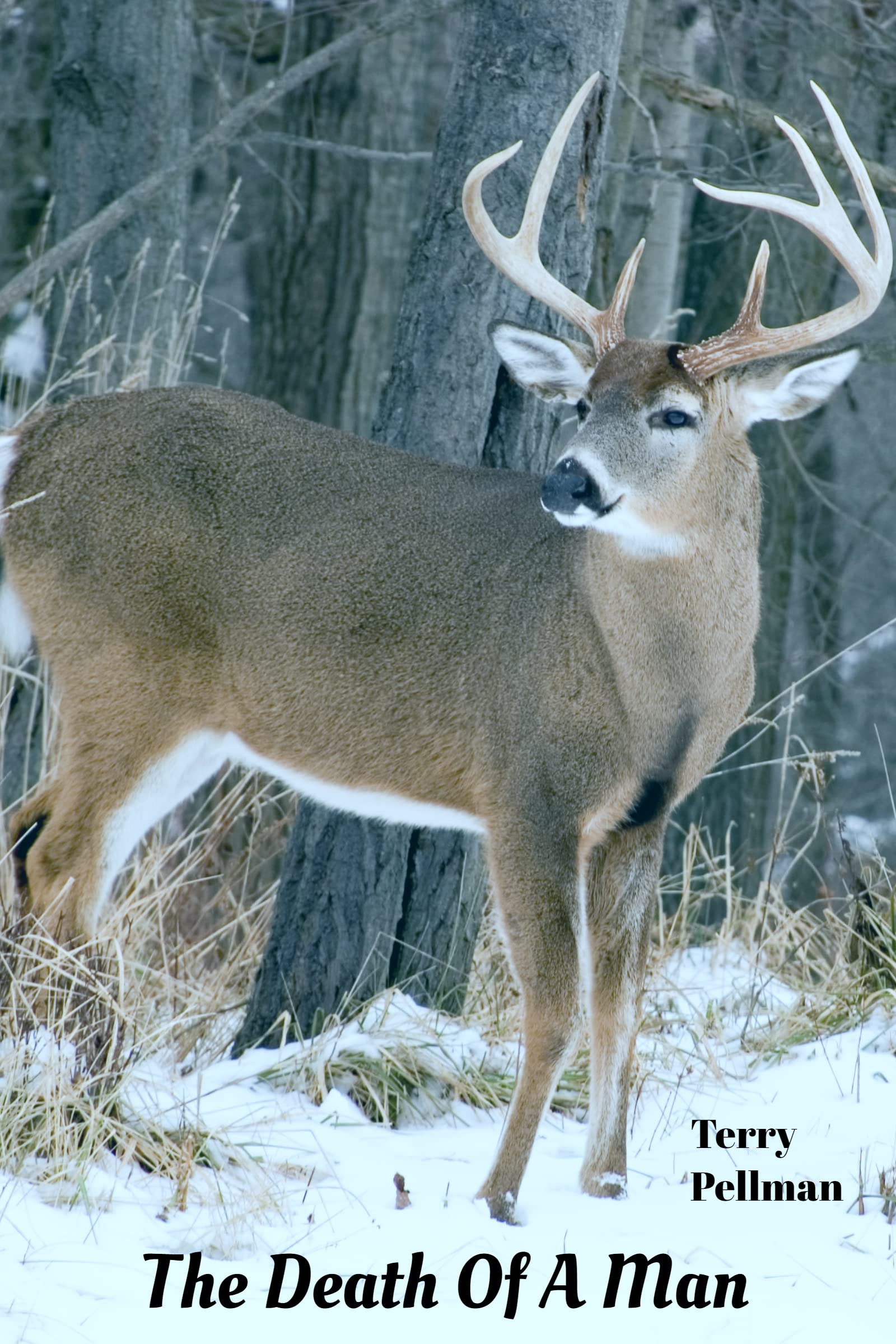 The Death Of A Man by Terry Pellman | Goodreads