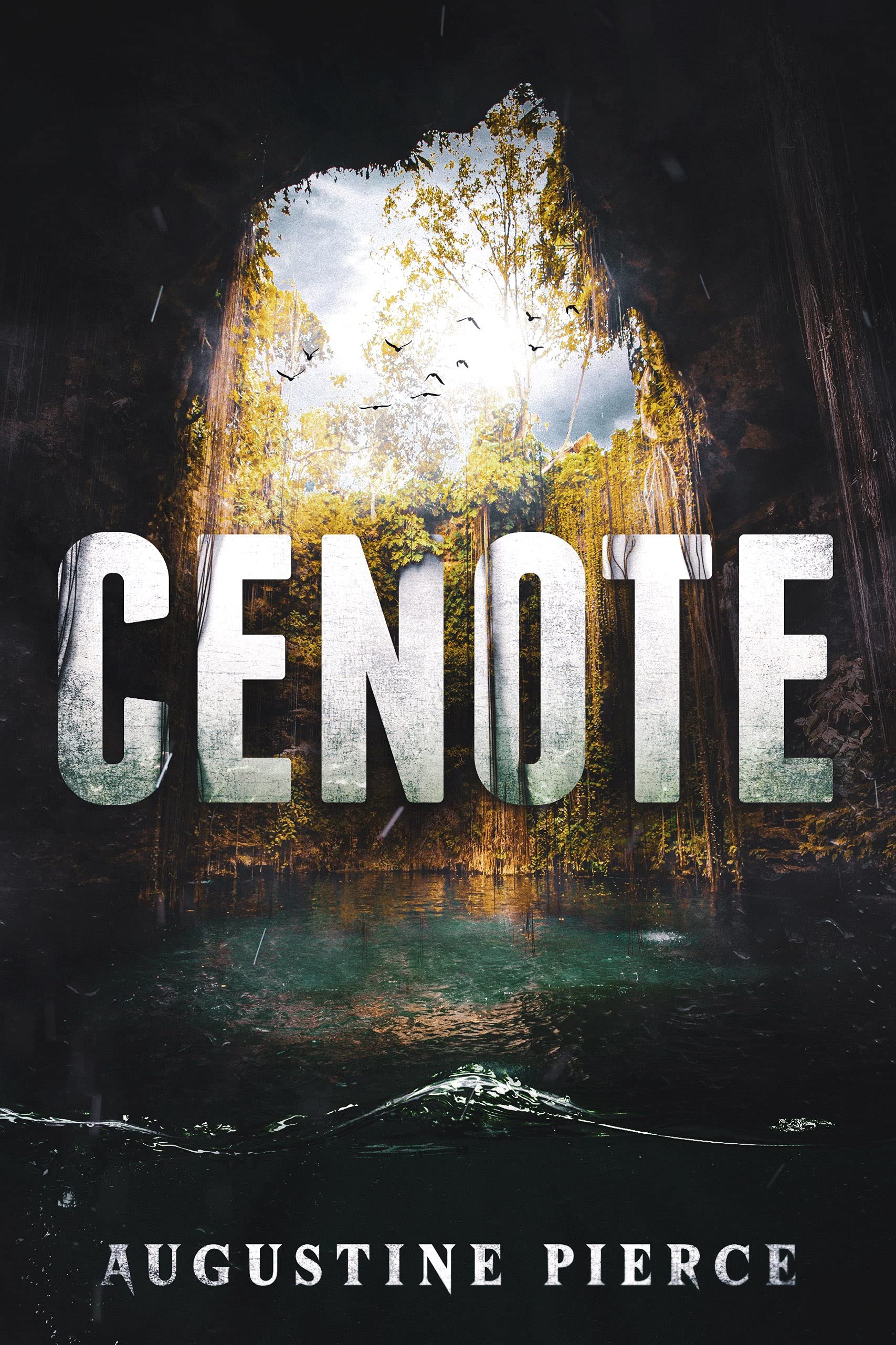 Cenote (Horror in Paradise) by Augustine Pierce | Goodreads