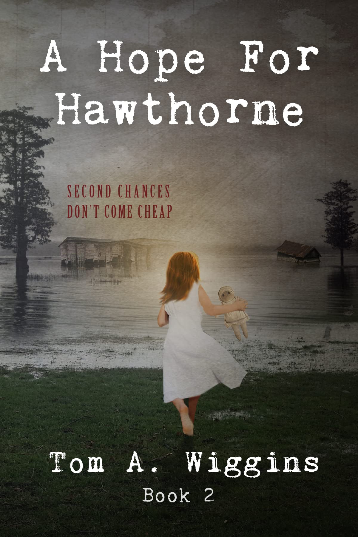 A Hope for Hawthorne by Tom Wiggins | Goodreads
