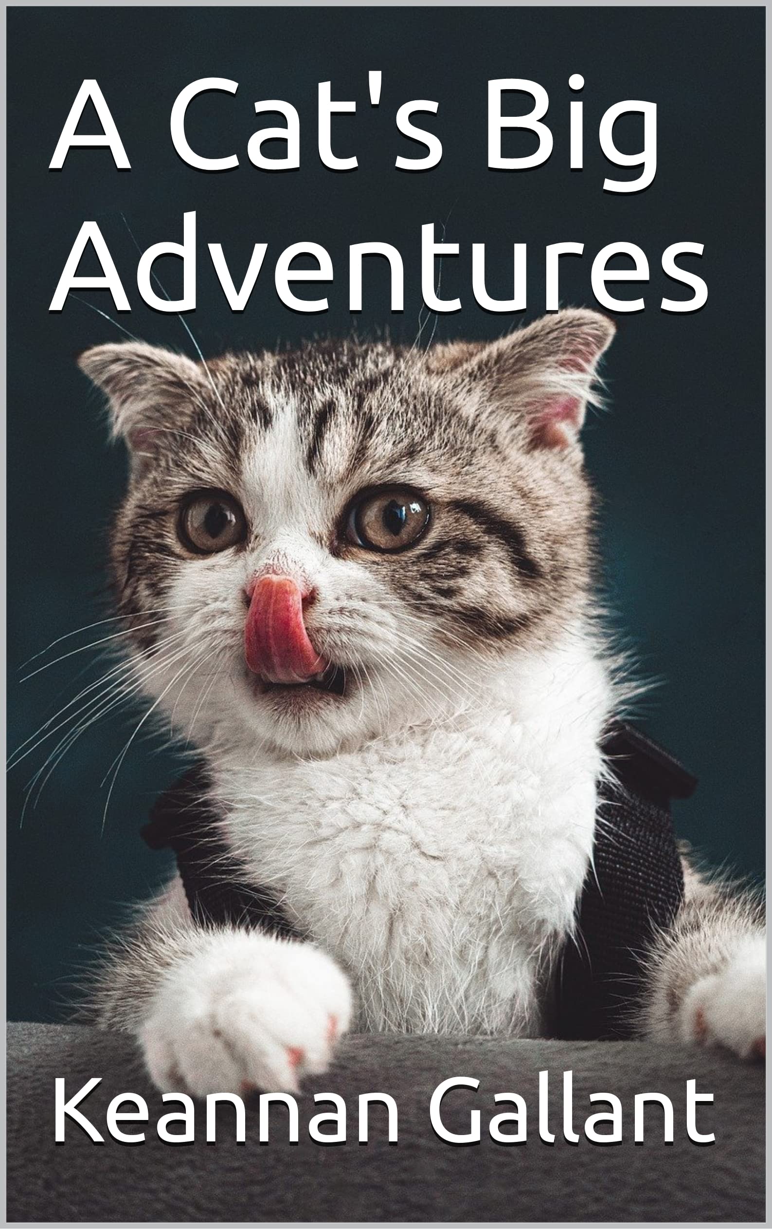 A Cat's Big Trip by Keannan Gallant | Goodreads