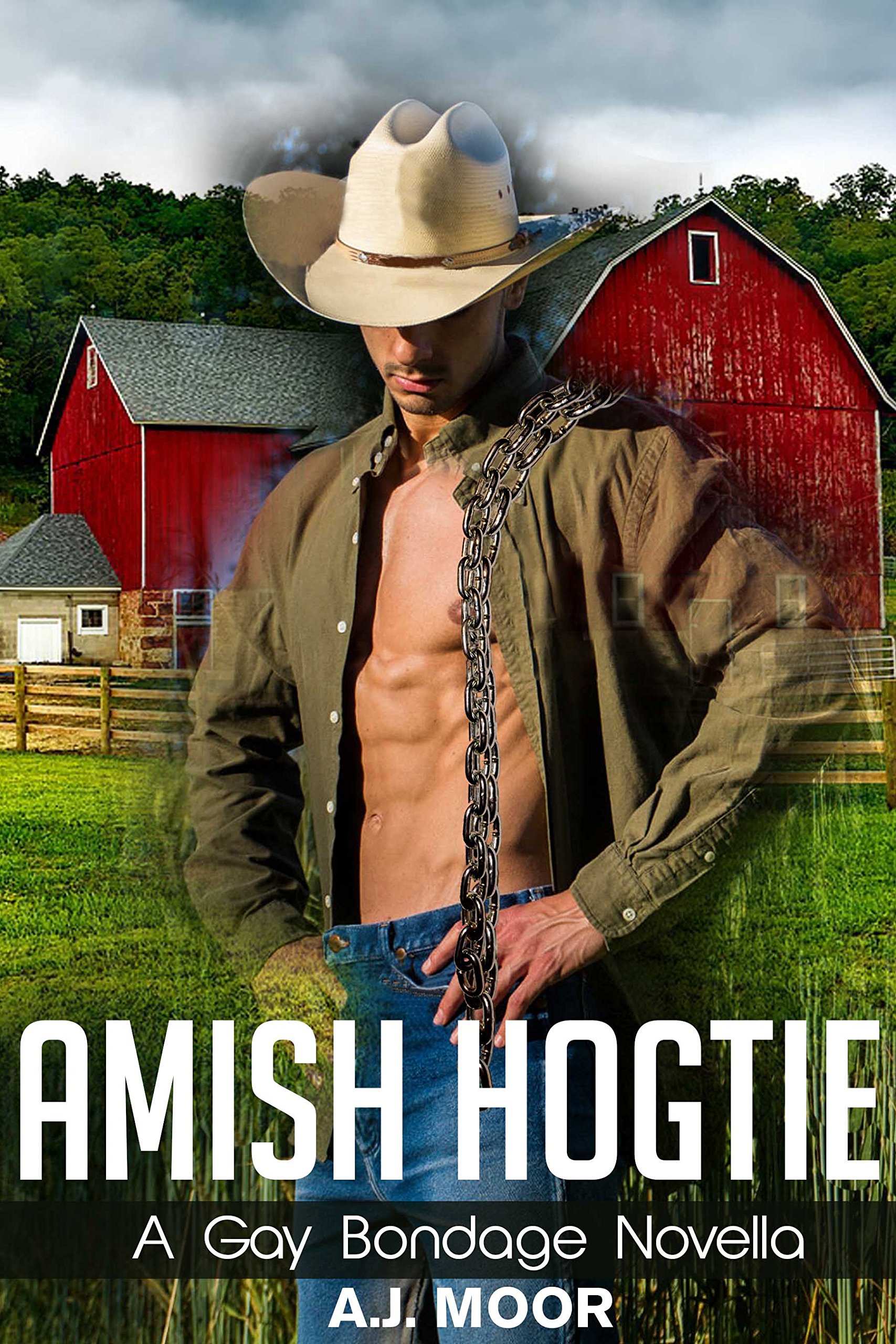 Amish Hogtie by A.J. Moor | Goodreads