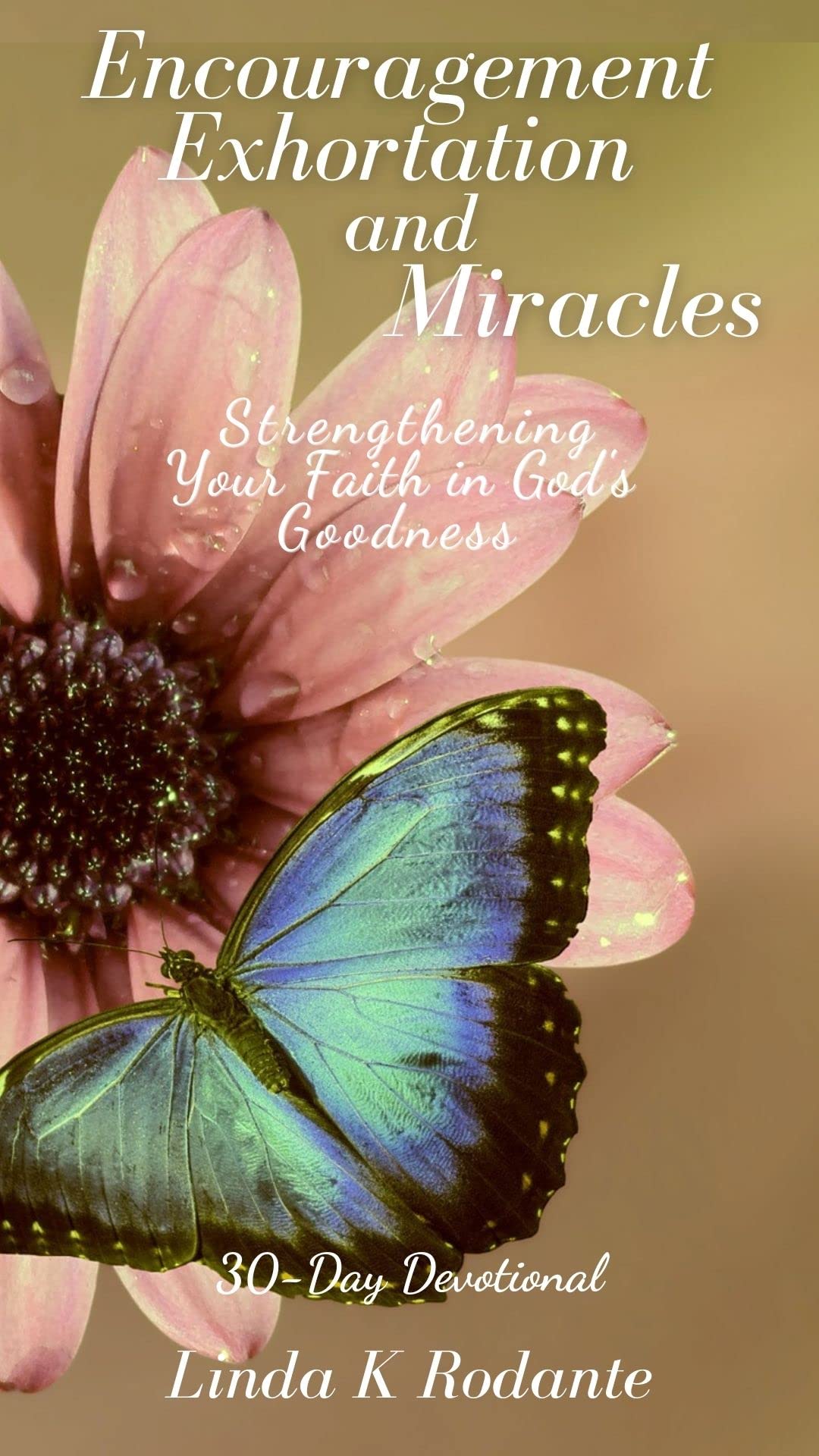 Encouragement Exhortation and Miracles: 30-Day Devotional by Linda K ...