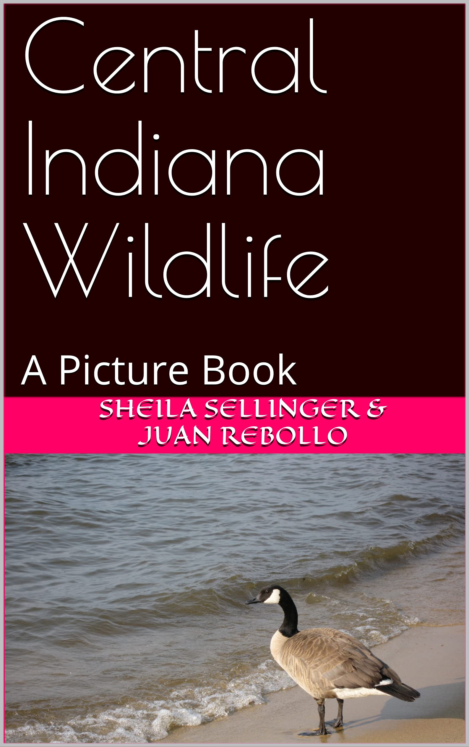 Central Indiana Wildlife: A Picture Book by Sheila Sellinger | Goodreads
