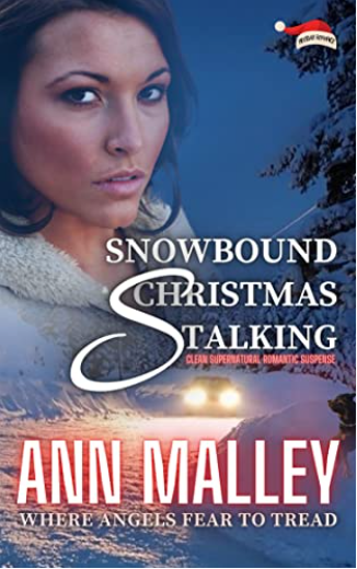 Snowbound Christmas Stalking by Ann Malley | Goodreads