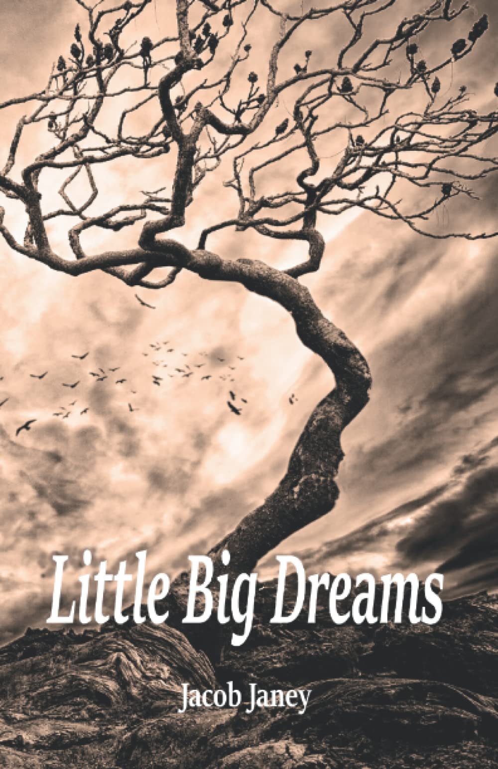 Little Big Dreams (The Dream Trekker Series) by Jacob Janey | Goodreads