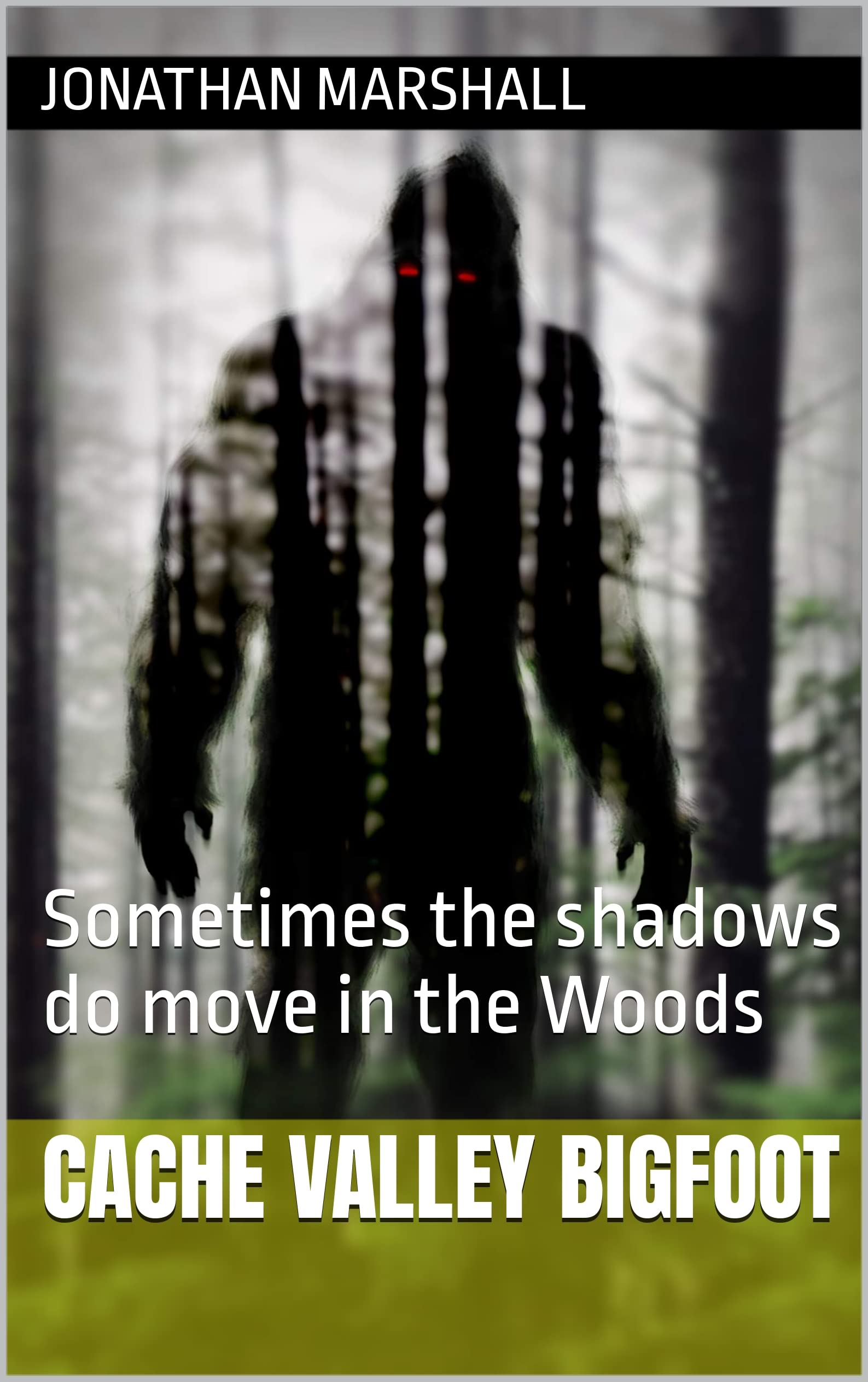 Cache Valley Bigfoot: Sometimes the shadows do move in the Woods by ...