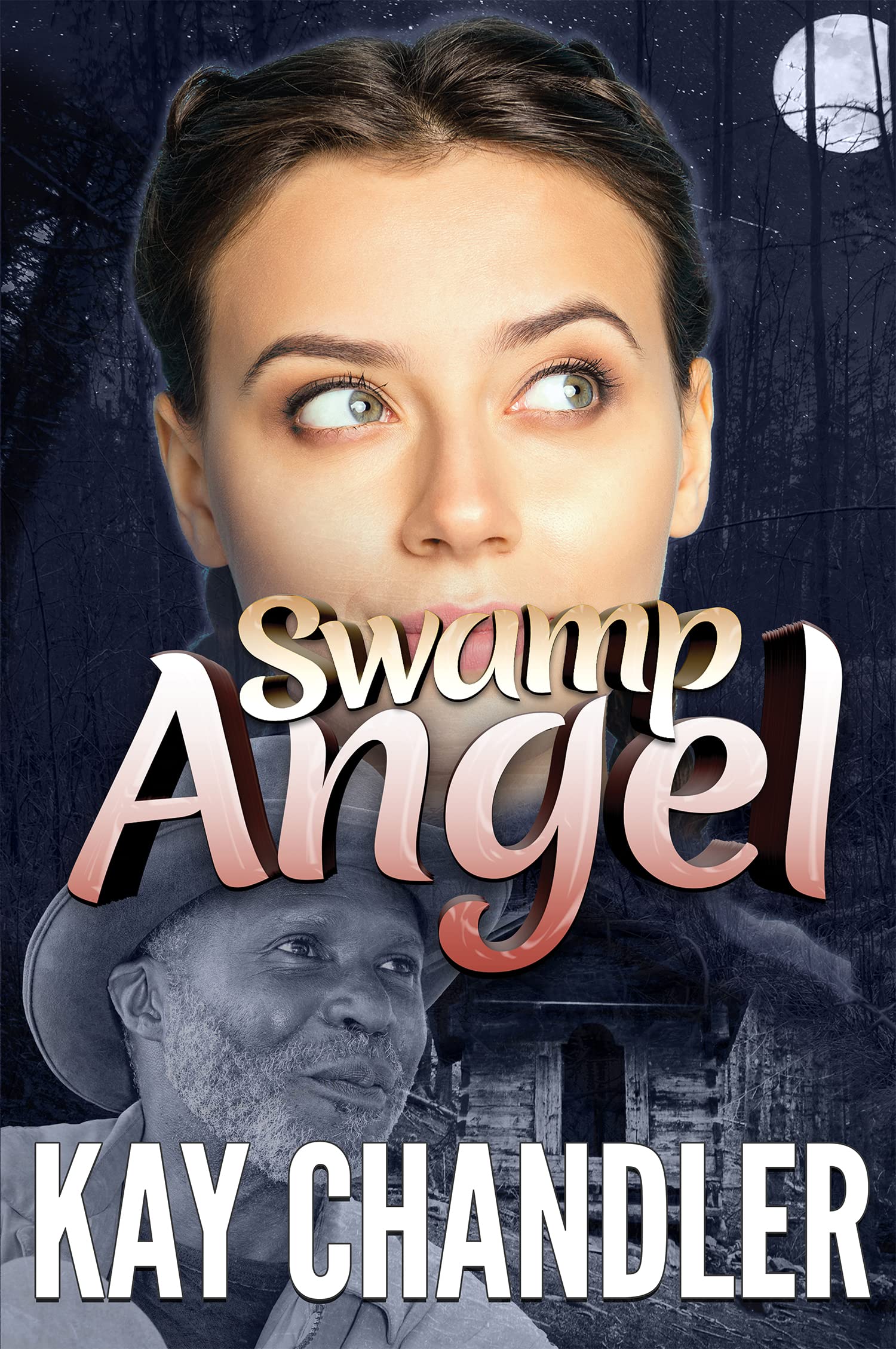 Swamp Angel by Kay Chandler | Goodreads