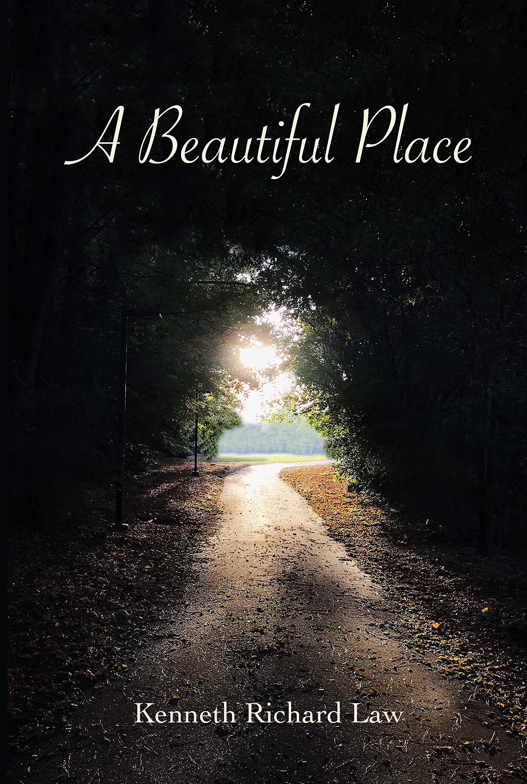 A Beautiful Place: A Novel by Kenneth Richard Law | Goodreads