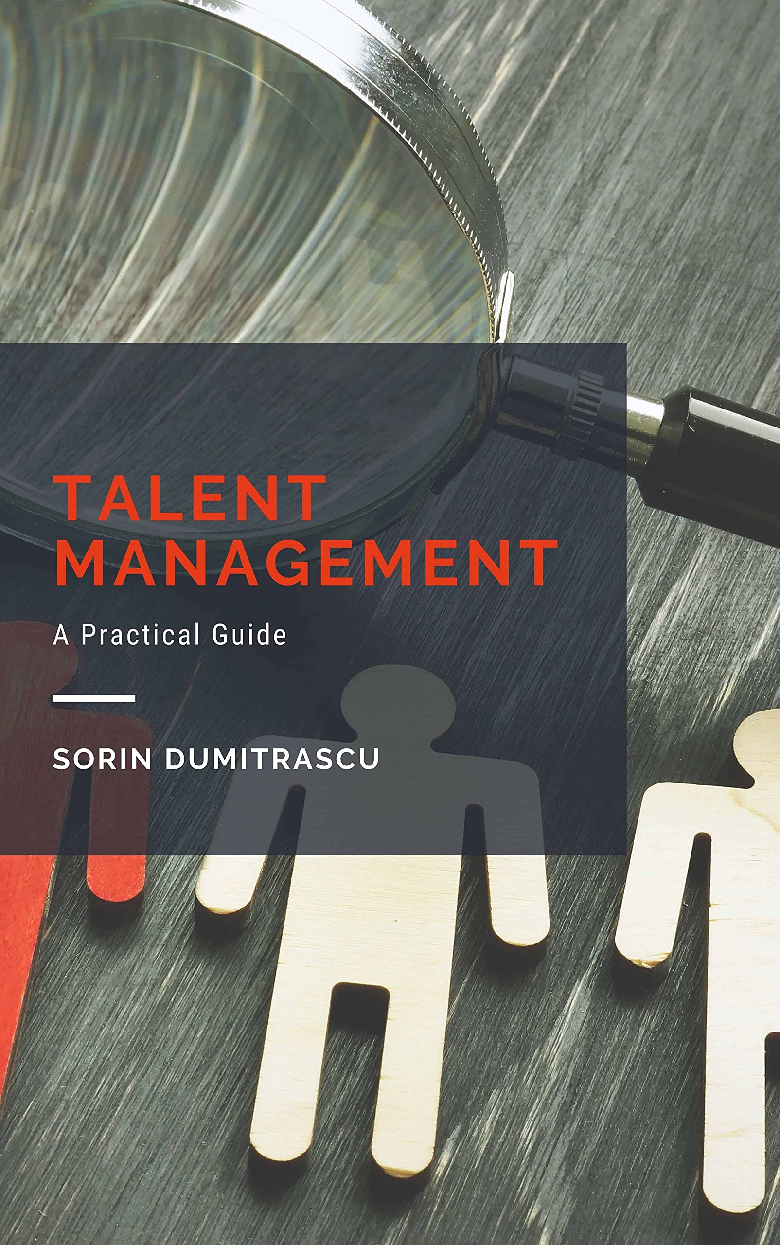 Talent Management: A Practical Guide by Sorin Dumitrascu | Goodreads