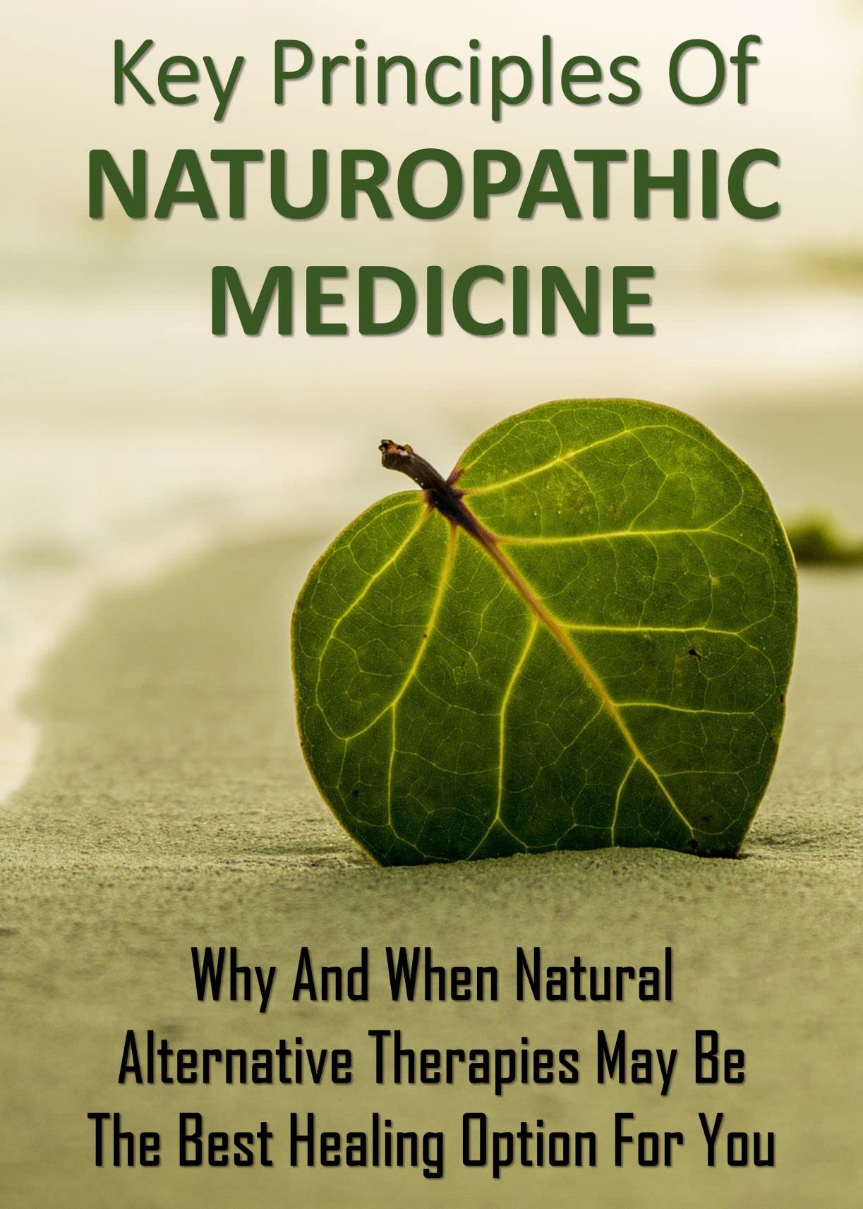 Key Principles To Naturopathic Medicine: Guide to Natural Alternatives ...