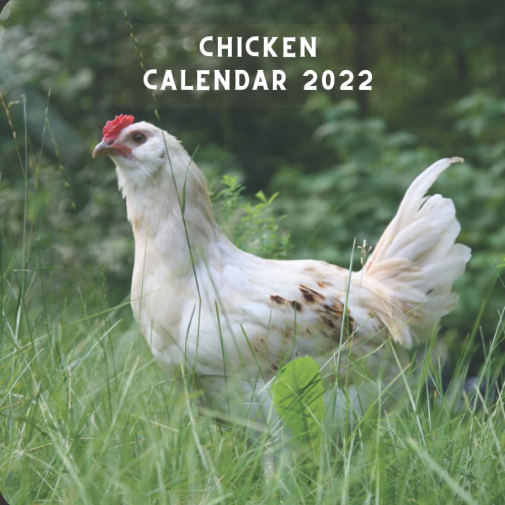 Chicken 2022 Calendar: Chicken Lover Gift Idea - 12 Month Calendar ...