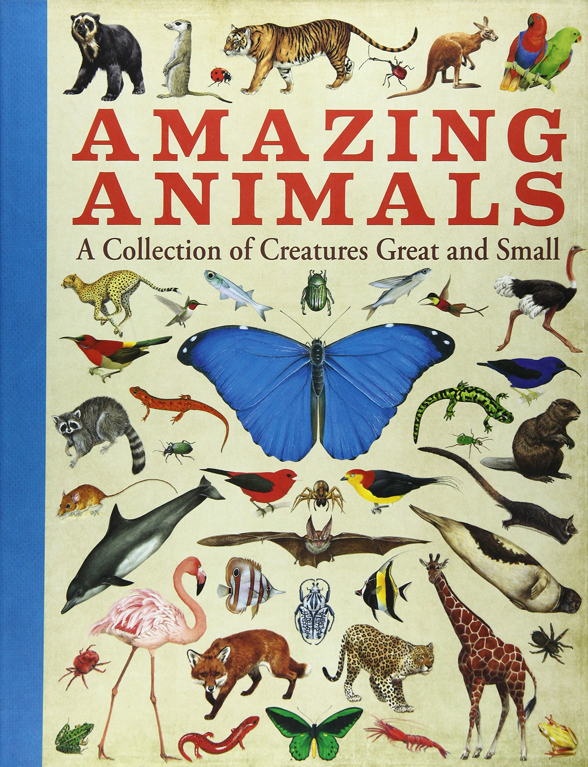Amazing Animals: A Collection of Creatures Great and Small by Sterling ...