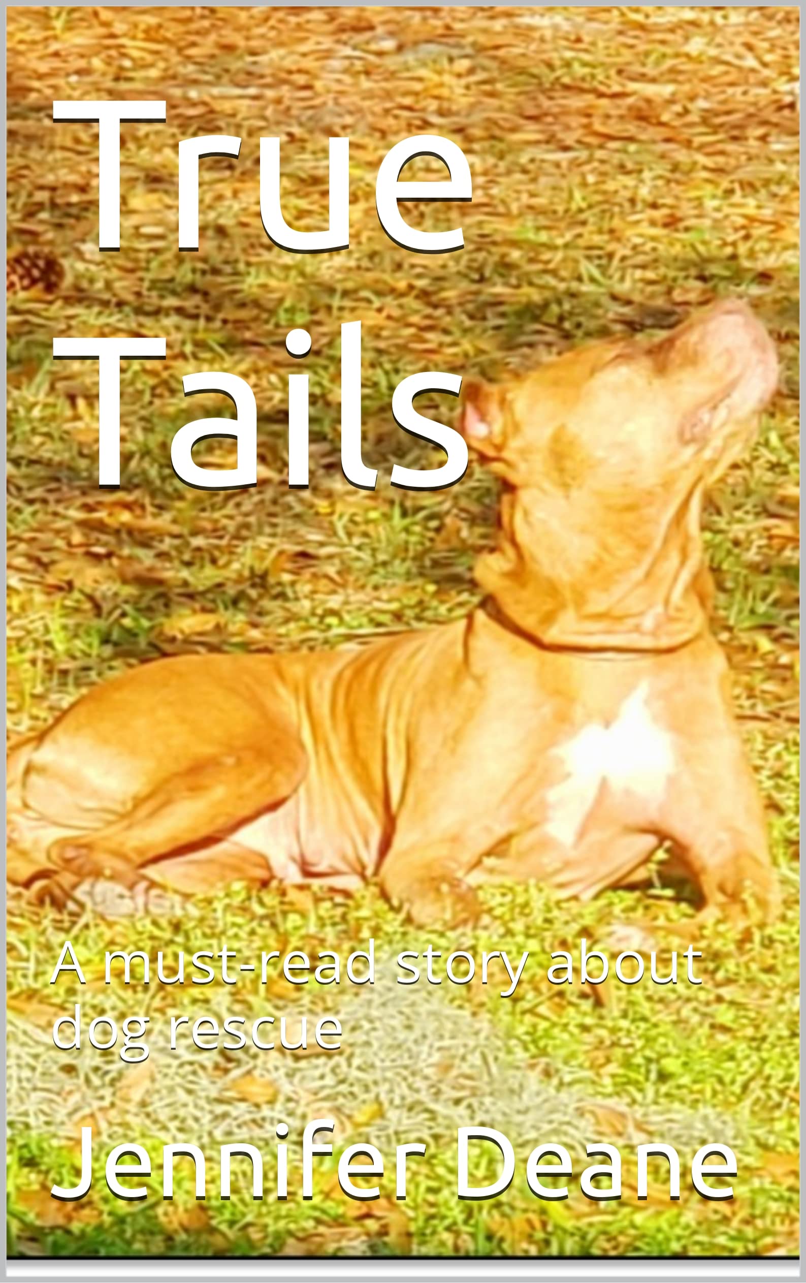 True Tails: A must-read story about dog rescue by Jennifer Deane ...