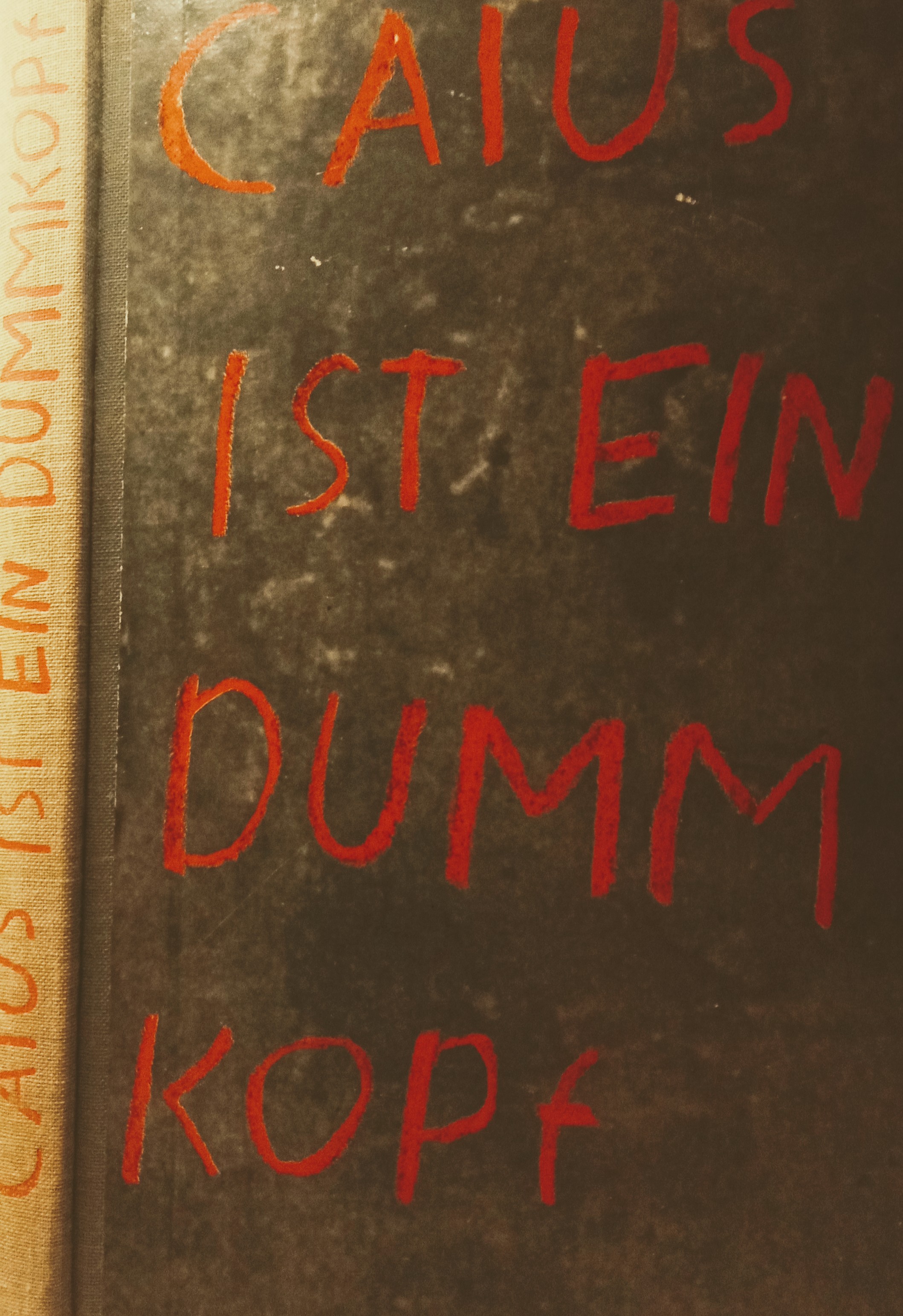 Caius ist ein Dummkopf. Eine lustige und spannende Detektivgeschichte ...