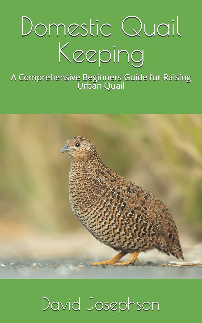 Domestic Quail Keeping: A Comprehensive Beginners Guide for Raising ...