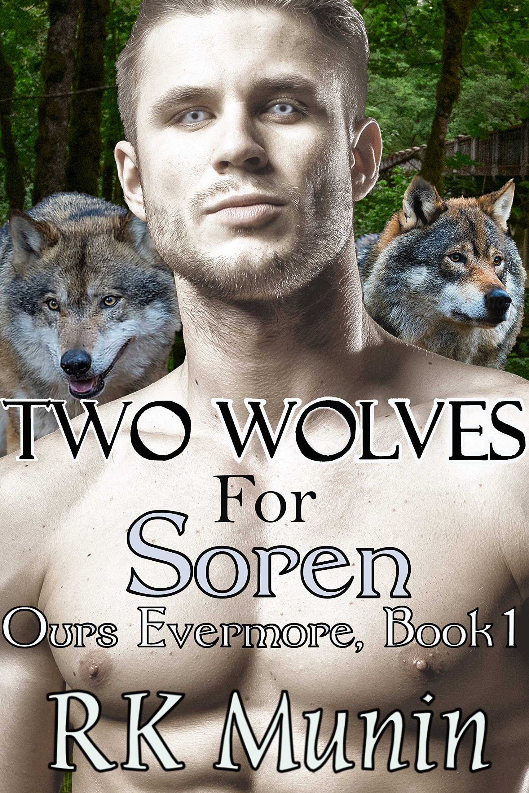 Two Wolves for Soren (Ours Evermore #1) by R.K. Munin | Goodreads