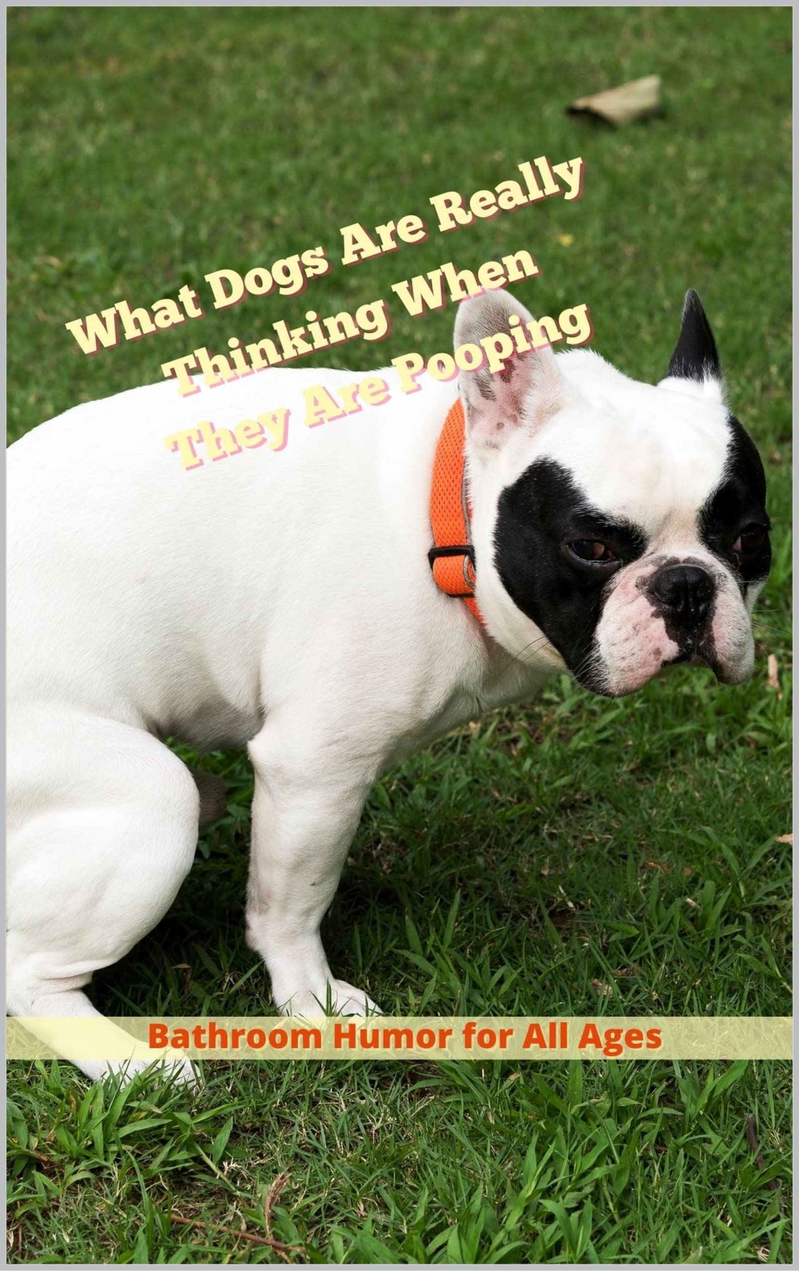 What Dogs Are Really Thinking When They Are Pooping: Bathroom Humor for ...