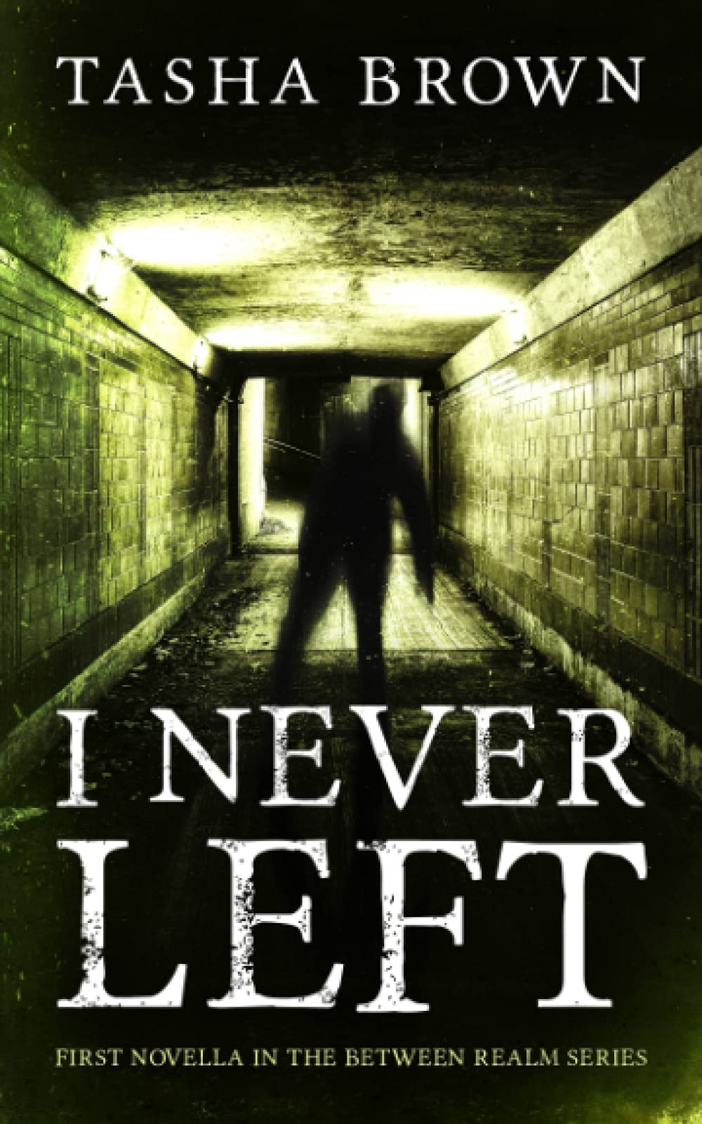 I Never Left: First Novella in the Between Realm series by Tasha Brown ...