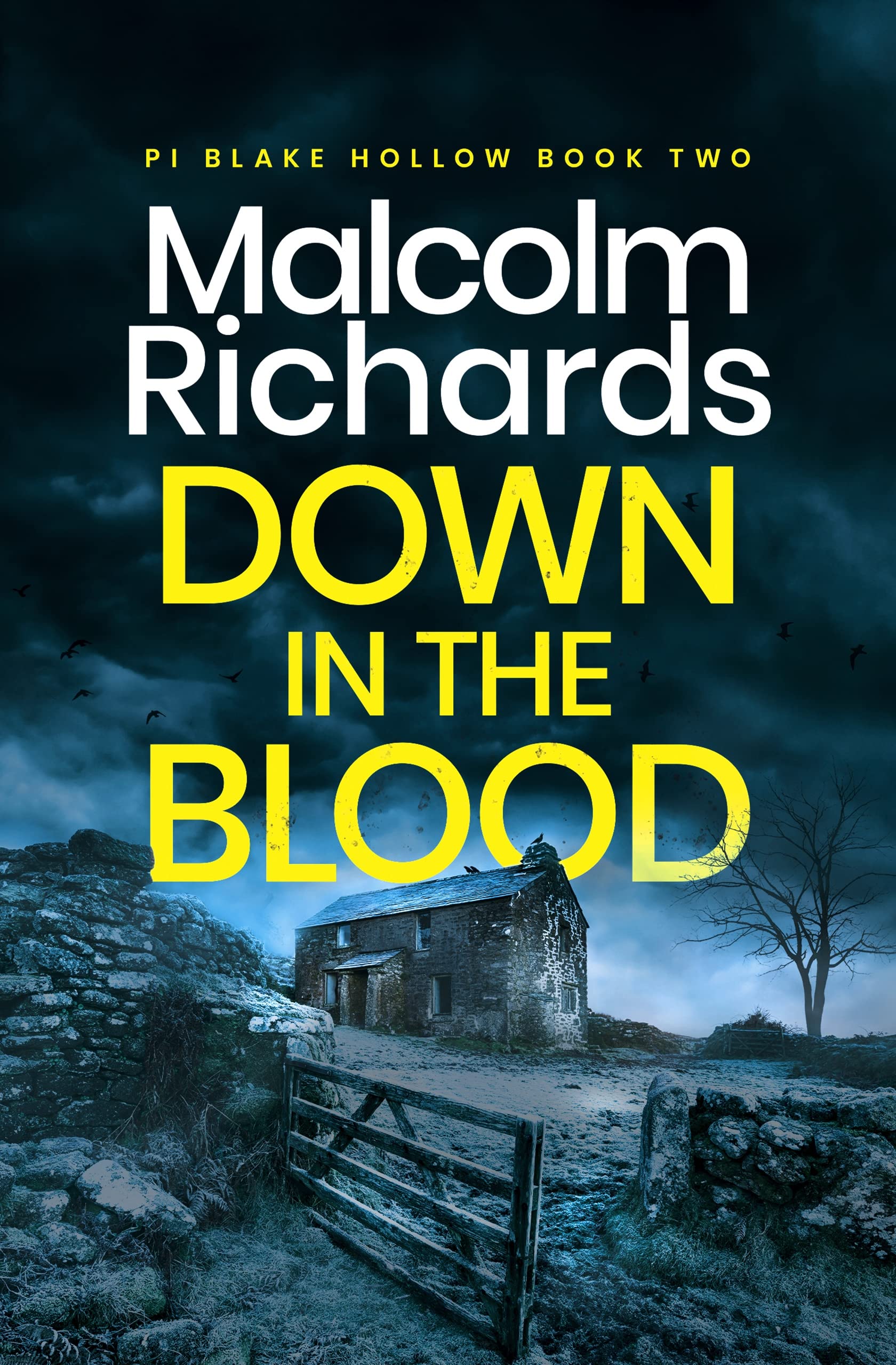Down in the Blood (PI Blake Hollow #2) by Malcolm Richards | Goodreads