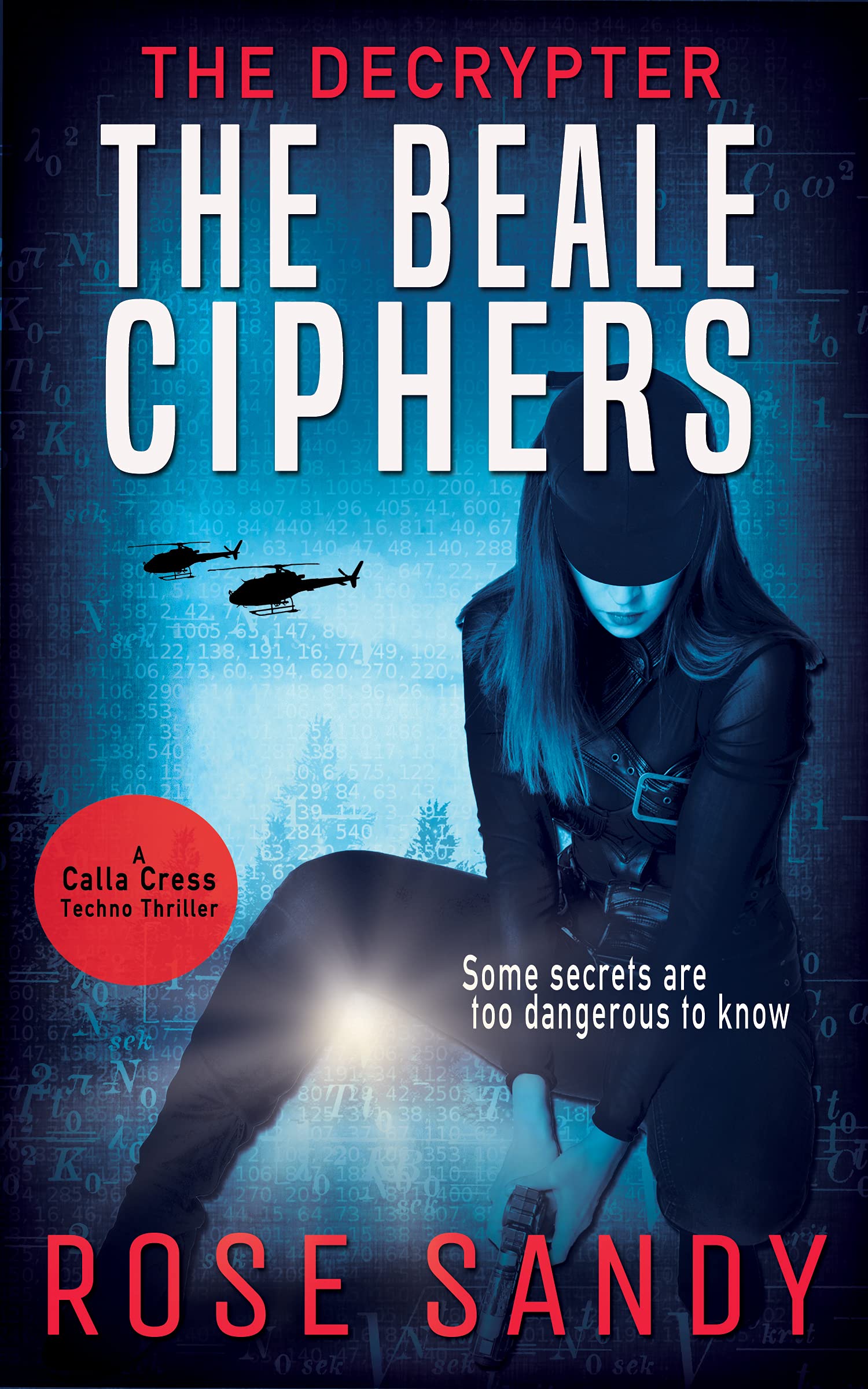 The Decrypter and the Beale Ciphers by Rose Sandy | Goodreads
