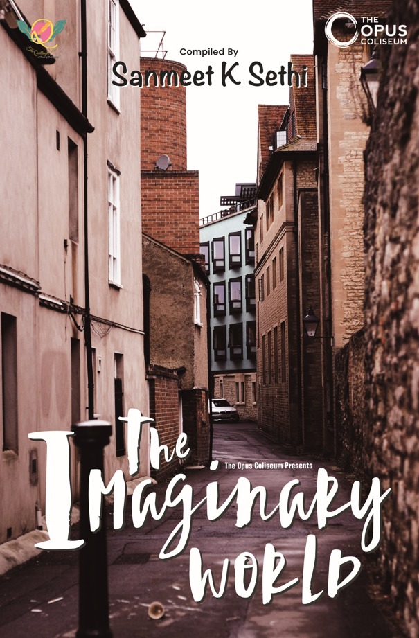 The Imaginary World by Sanmeet K Sethi | Goodreads