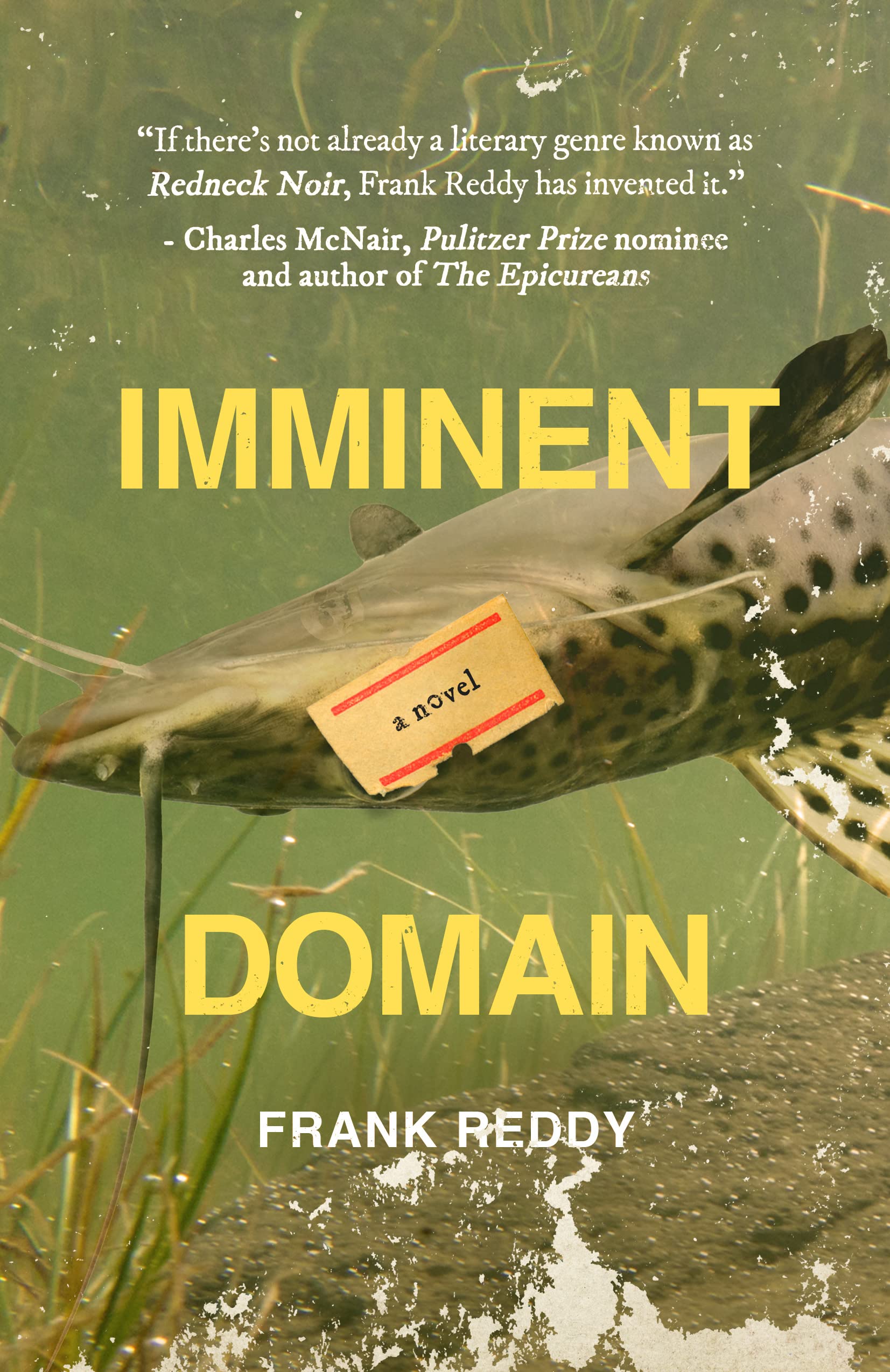Imminent Domain by Frank Reddy | Goodreads