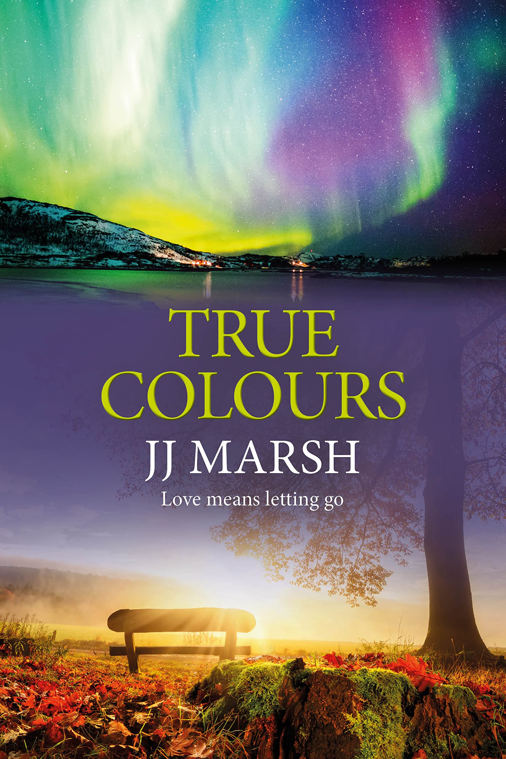 True Colours (Beatrice Stubbs #13) by J.J. Marsh | Goodreads