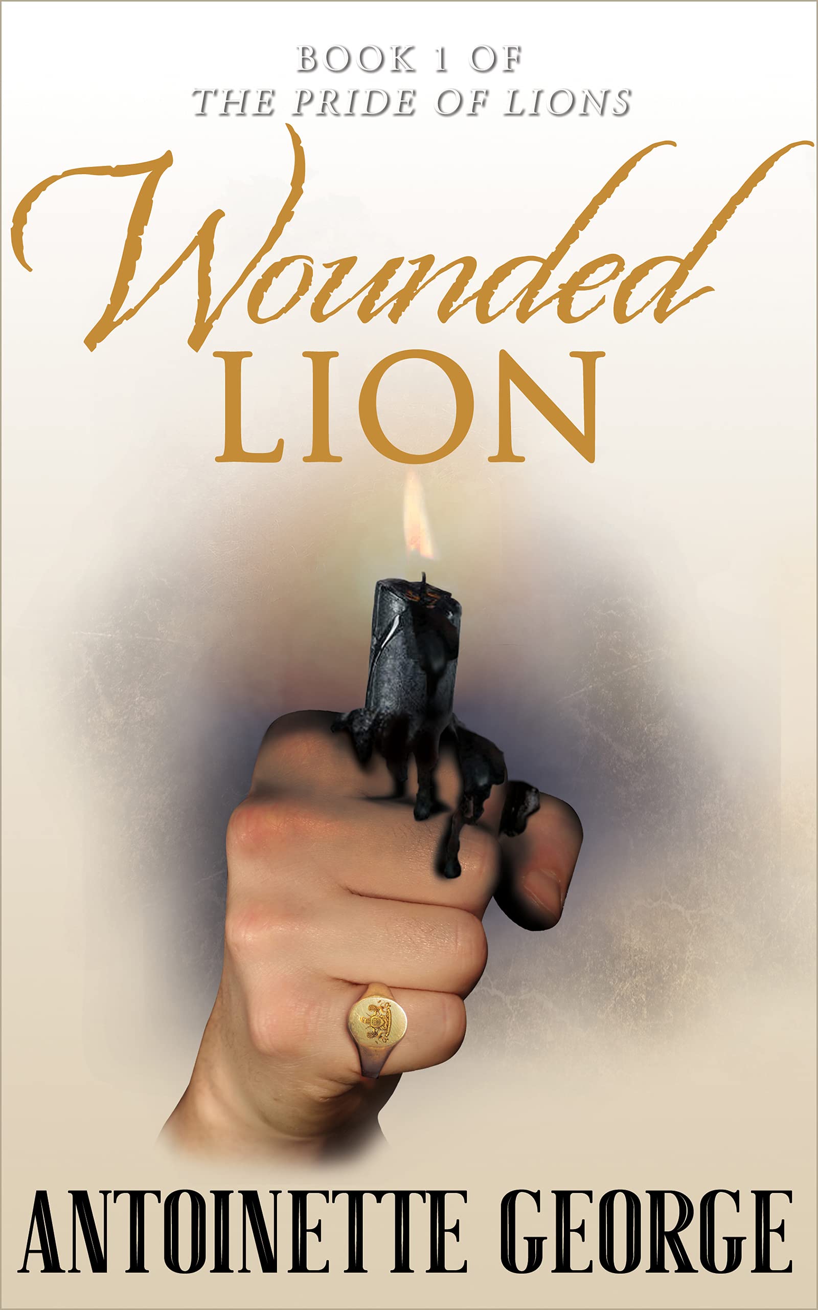 Wounded Lion: Part Five and Conclusion of Pride of Lions by Antoinette ...