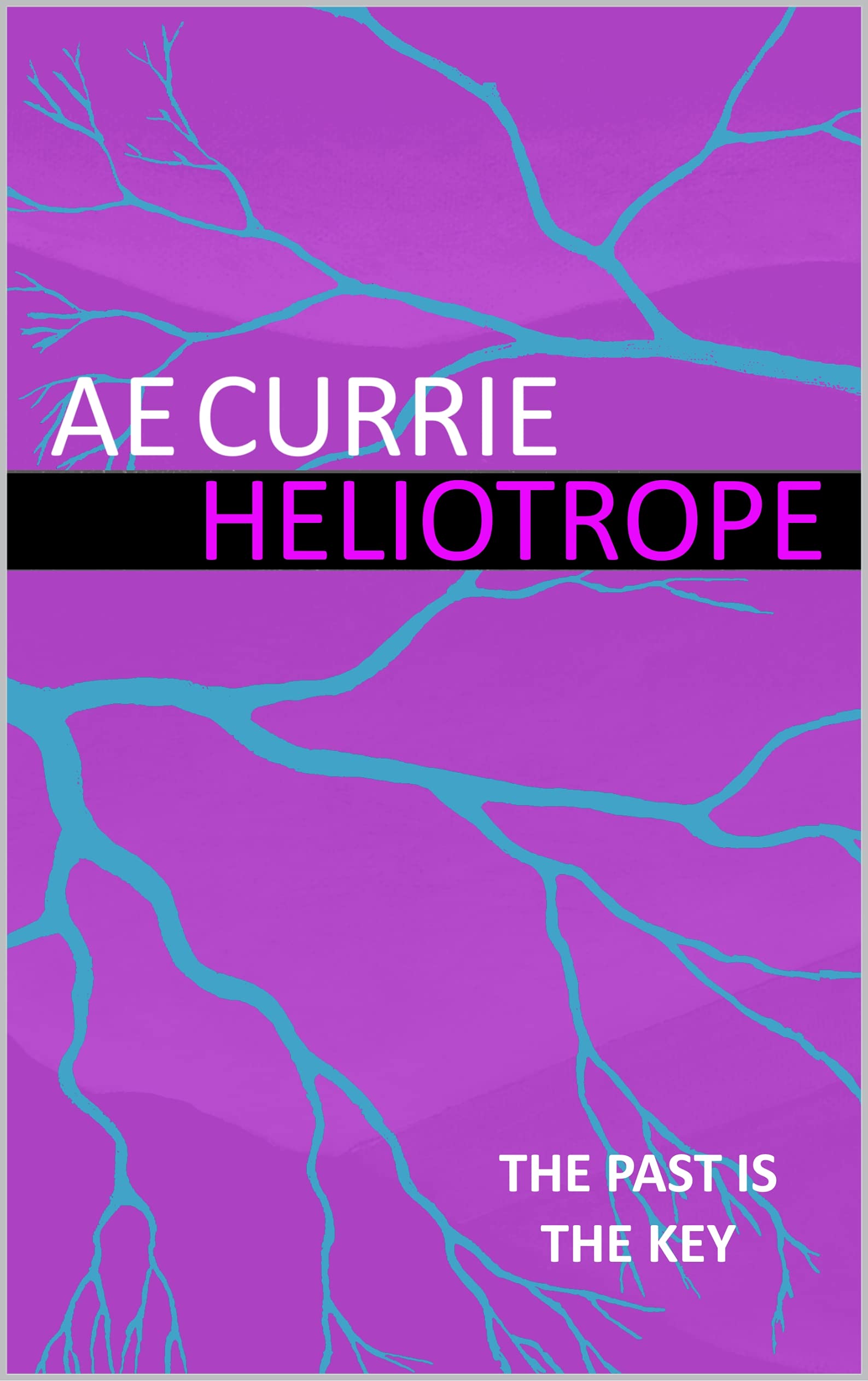 Heliotrope (Panopticon Book 6) by A.E. Currie | Goodreads