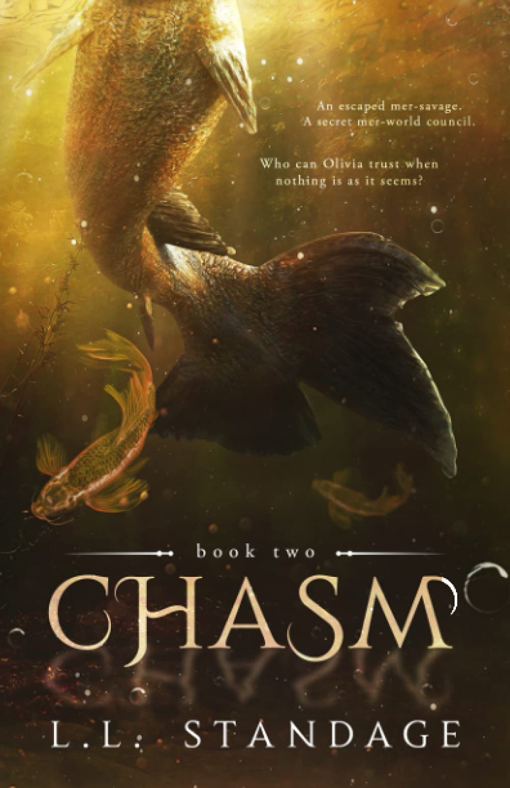 Chasm (The Fathom Series) by L.L. Standage | Goodreads