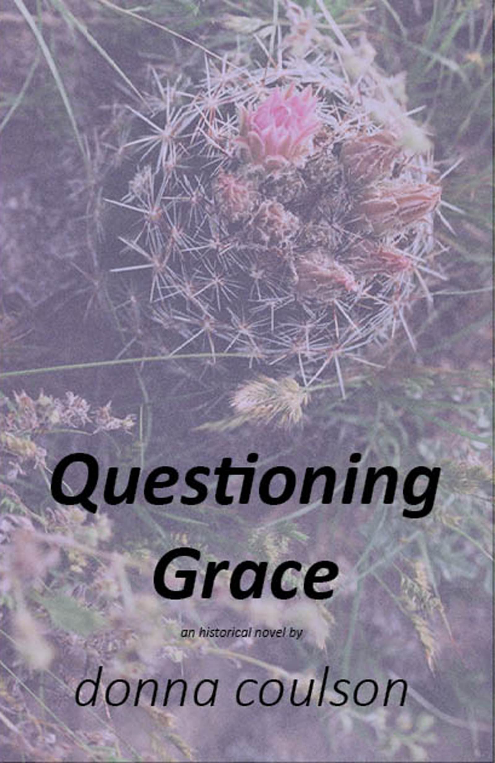 Questioning Grace (Emmaline's Story Book 1) by Donna Coulson | Goodreads
