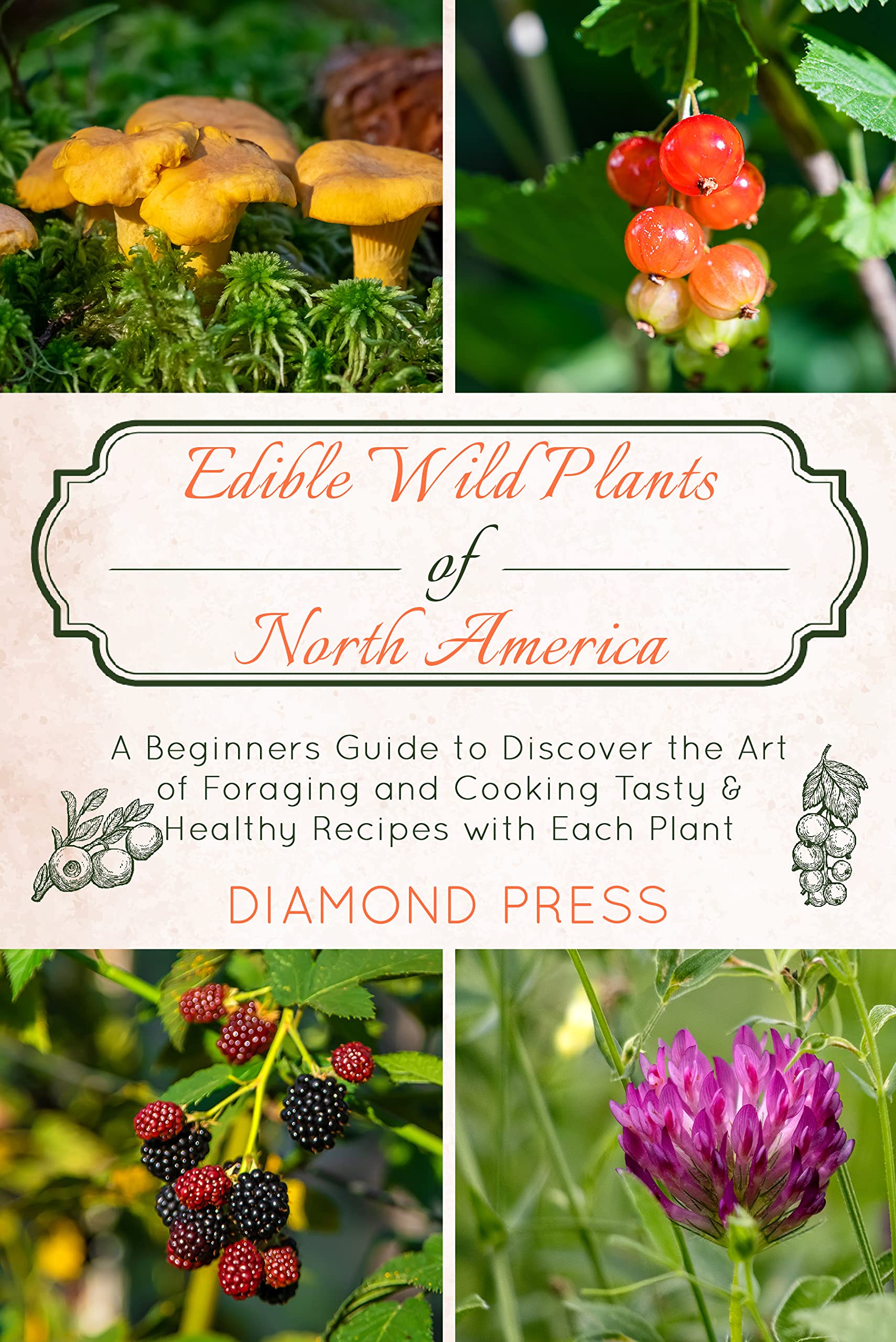 Edible Wild Plants of North America: A Beginners Guide to Discover the ...