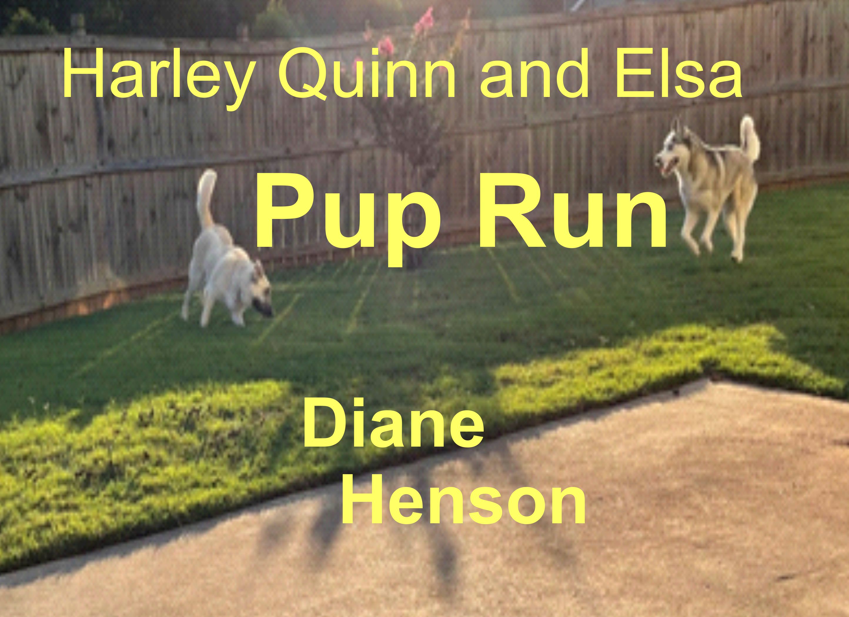 Pup Run by Diane Henson | Goodreads