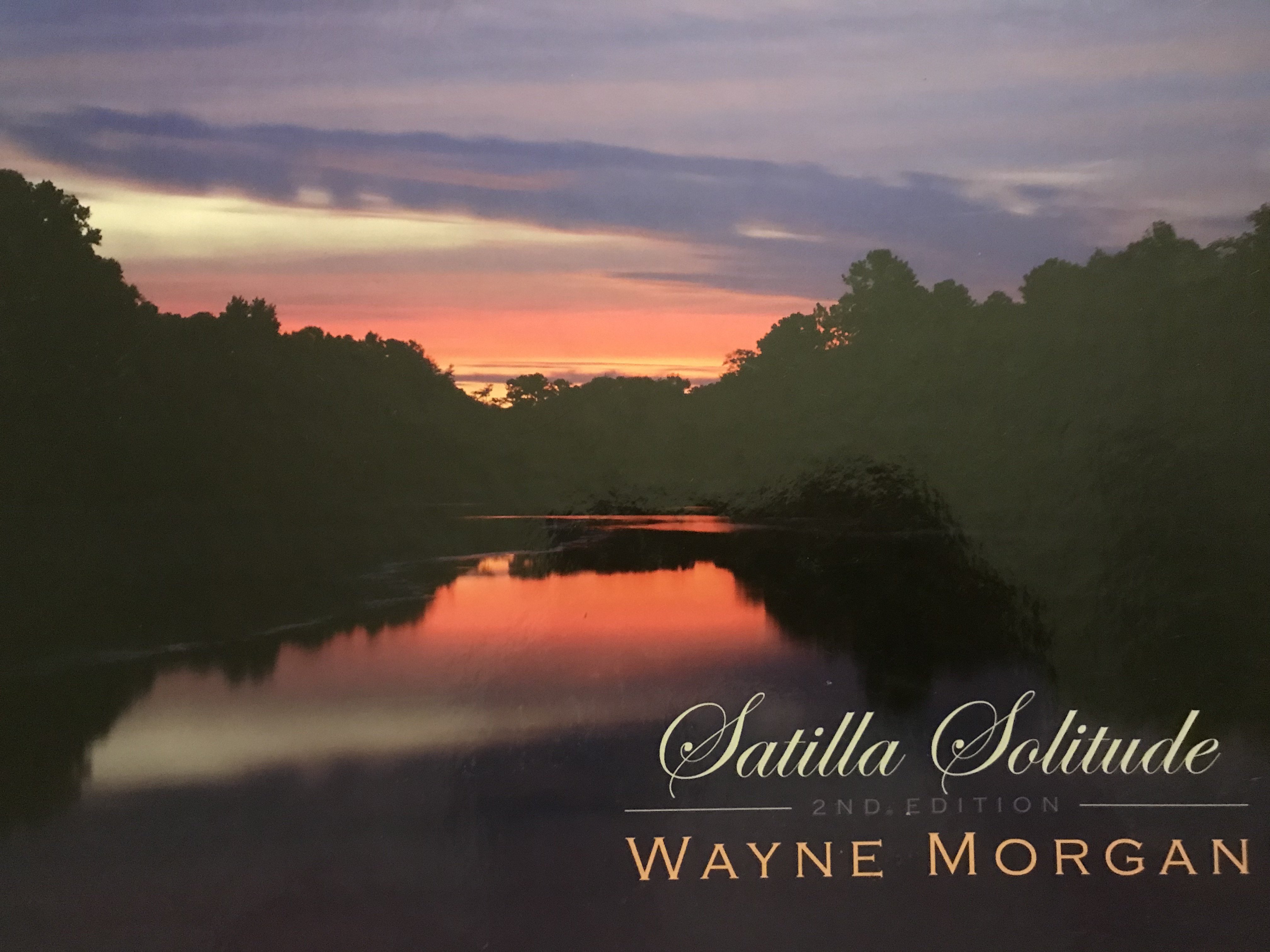 Satilla Solitude by Wayne Morgan | Goodreads