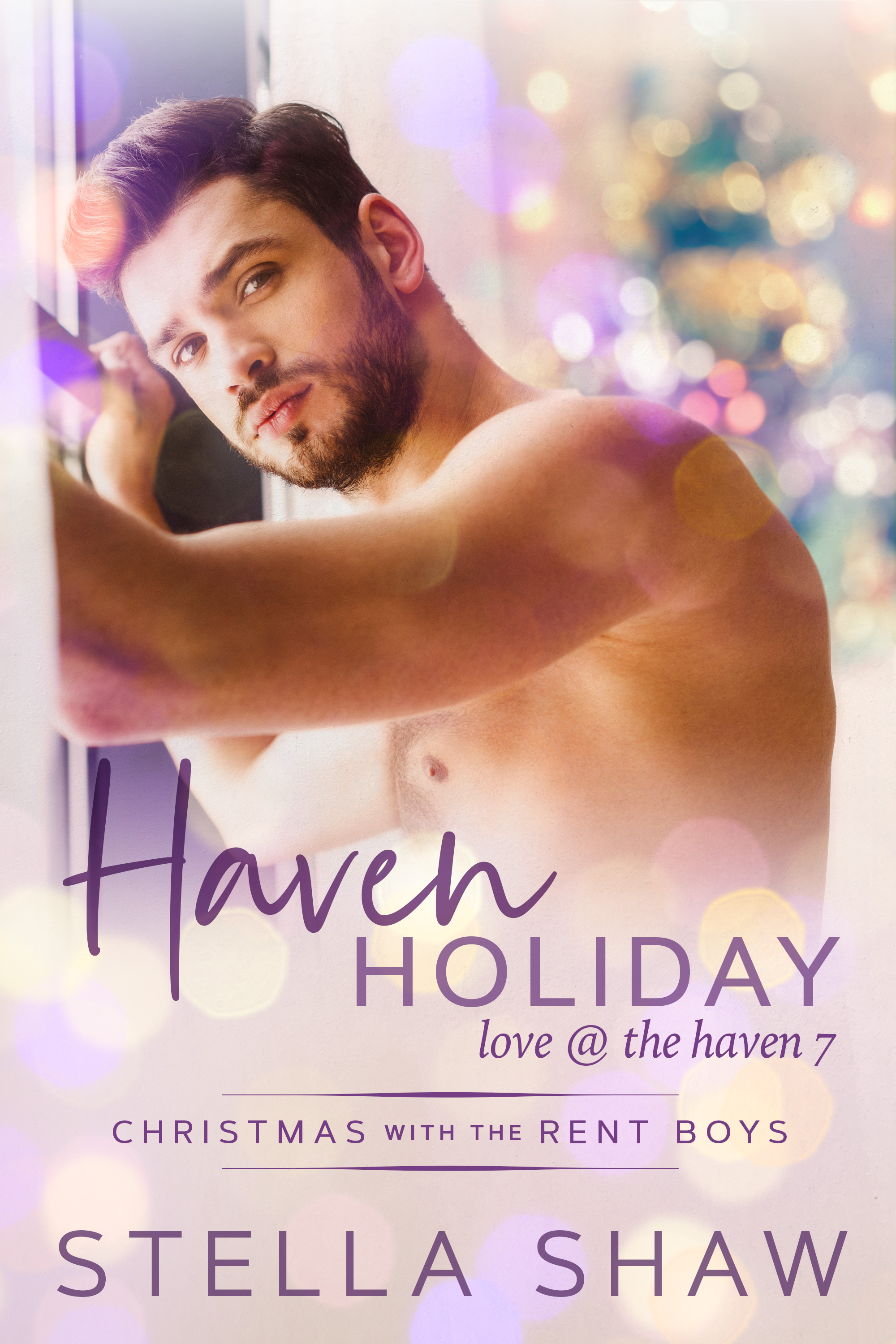 Haven Holiday (Love at the Haven #7) by Stella Shaw | Goodreads