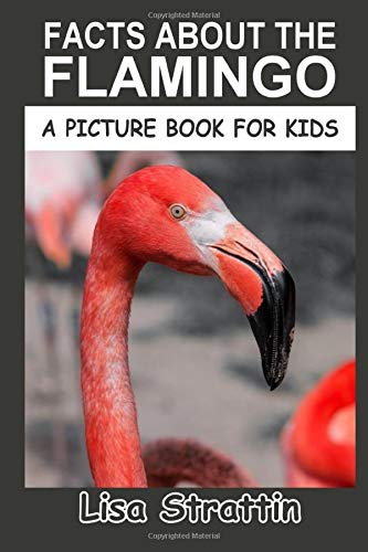 Facts About the Flamingo (A Picture Book For Kids) by Lisa Strattin ...