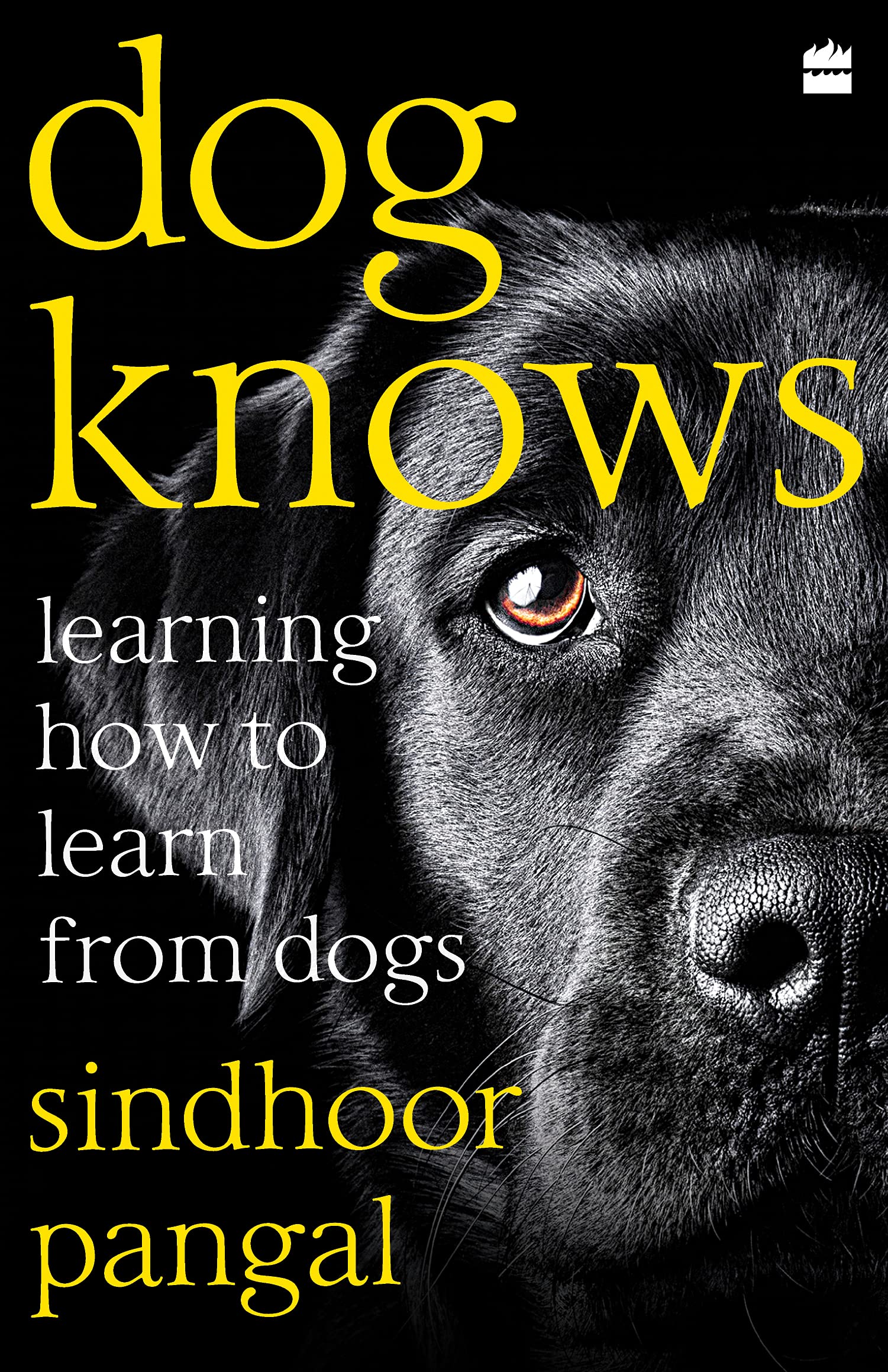 Dog Knows: Learning How to Learn from Dogs by Sindhoor Pangal | Goodreads