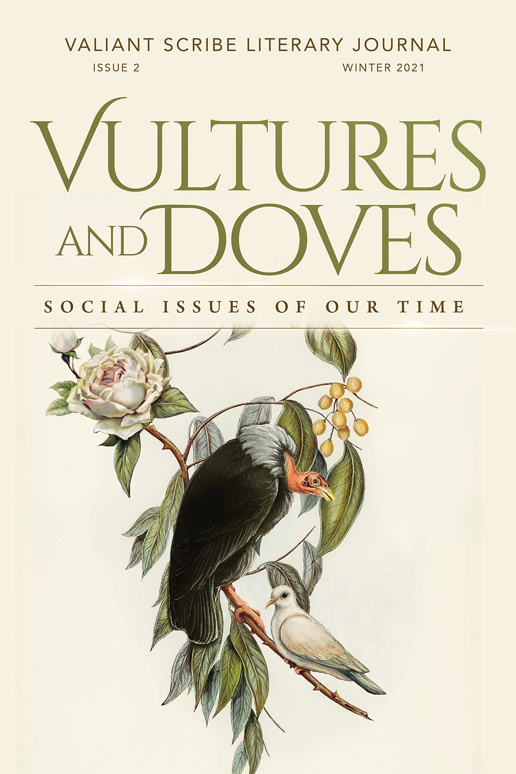 Vultures & Doves: Social Issues of Our Time by Debra Ayis | Goodreads