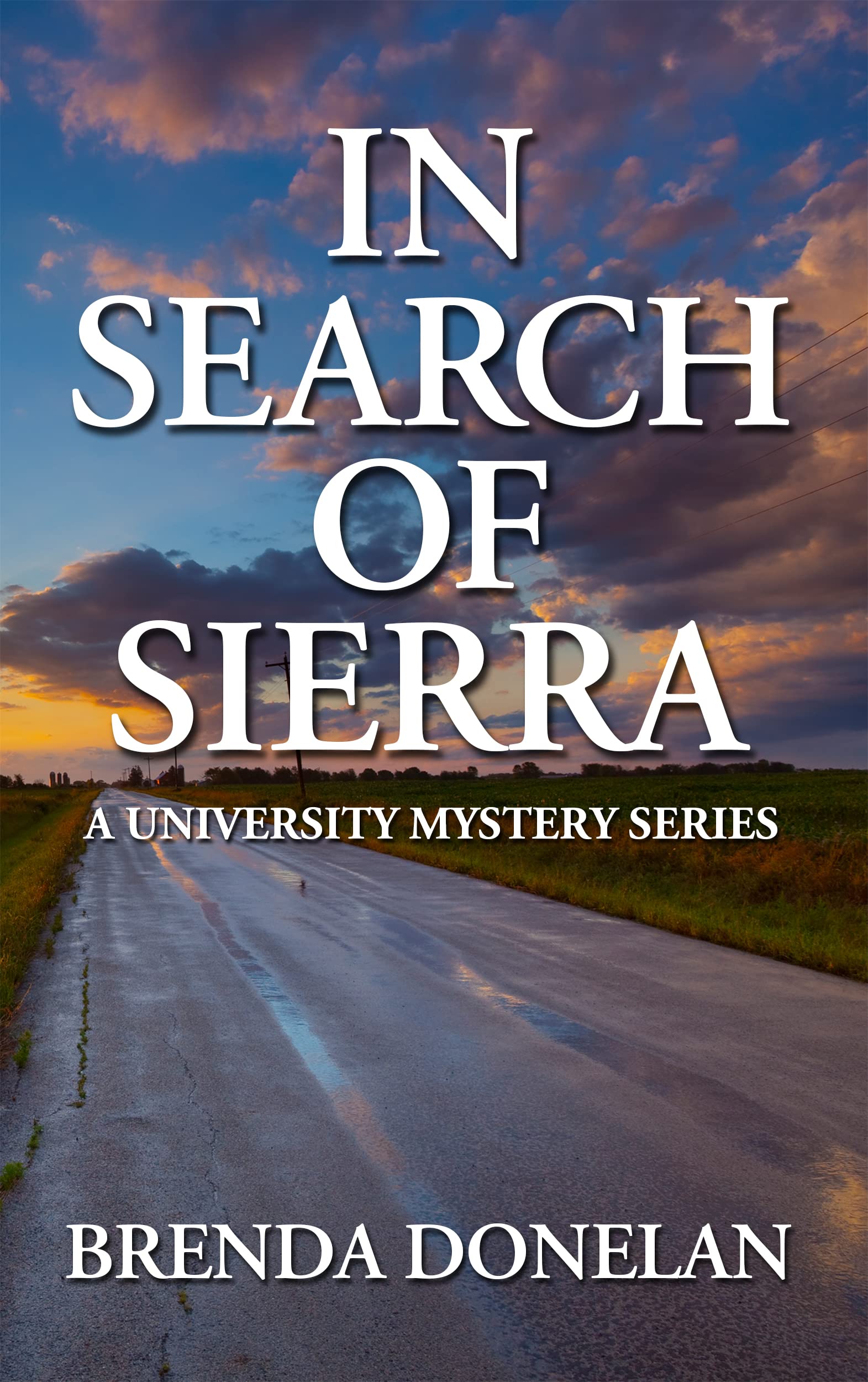 In Search Of Sierra by Brenda Donelan | Goodreads