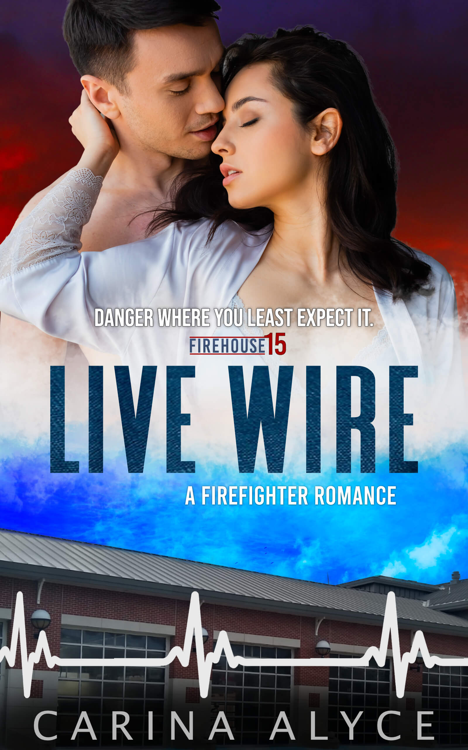 Live Wire (MetroGen After Hours, #1) by Carina Alyce | Goodreads