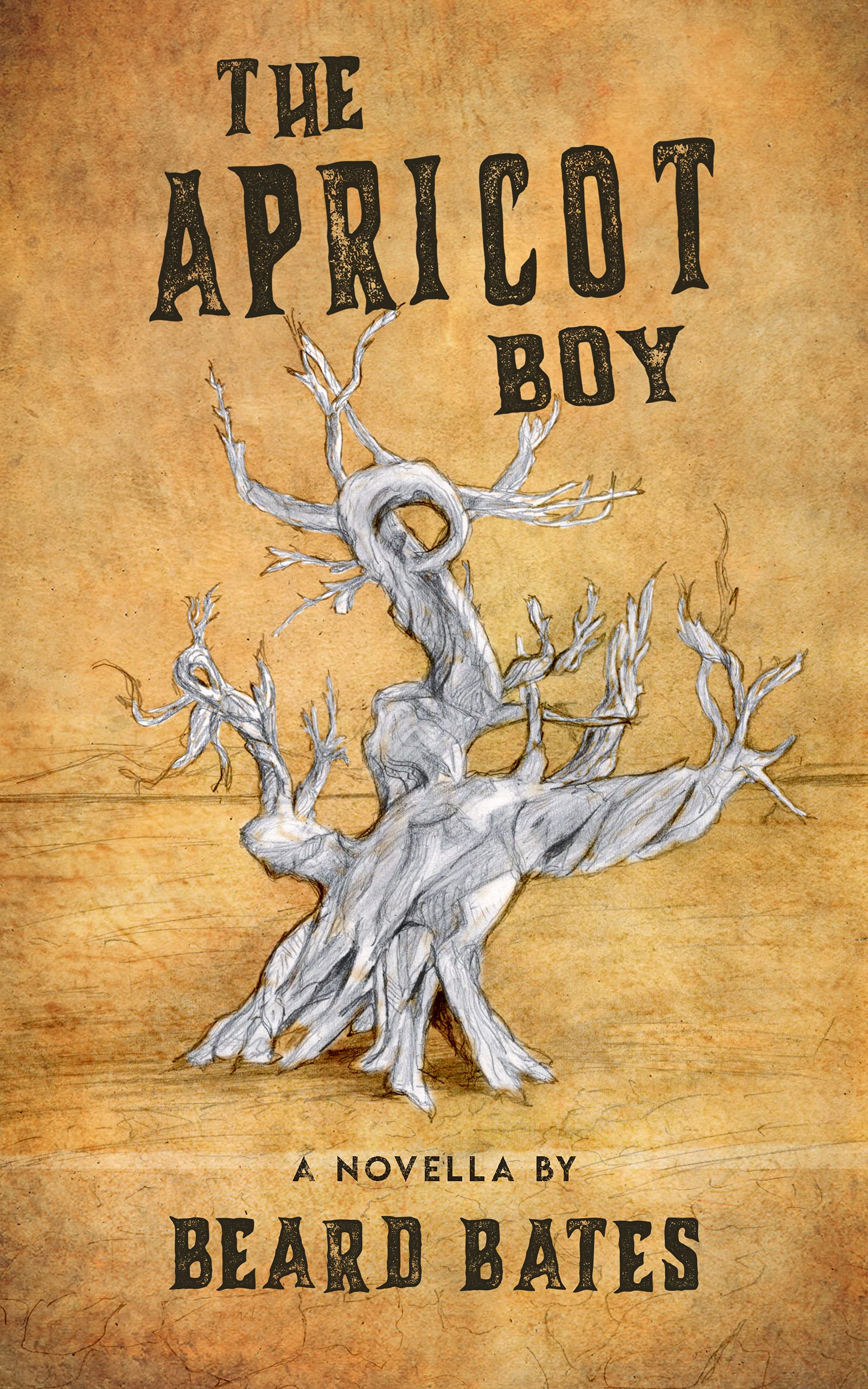 The Apricot Boy: A Novella by Beard Bates | Goodreads