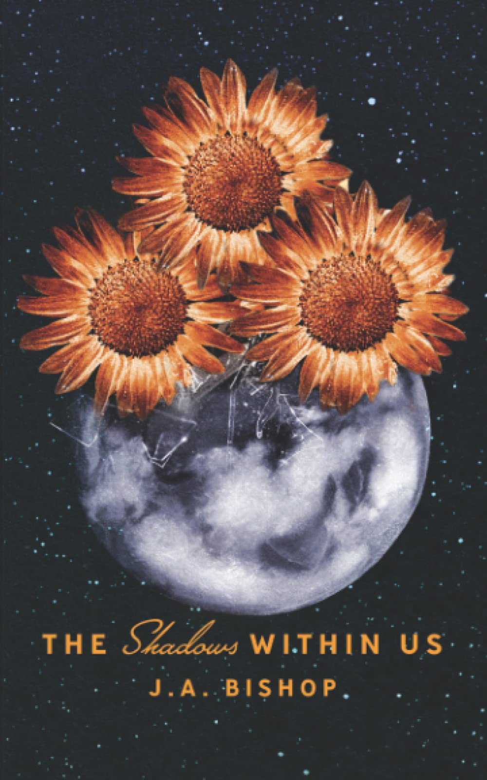 The Shadows Within Us by J.A. Bishop | Goodreads